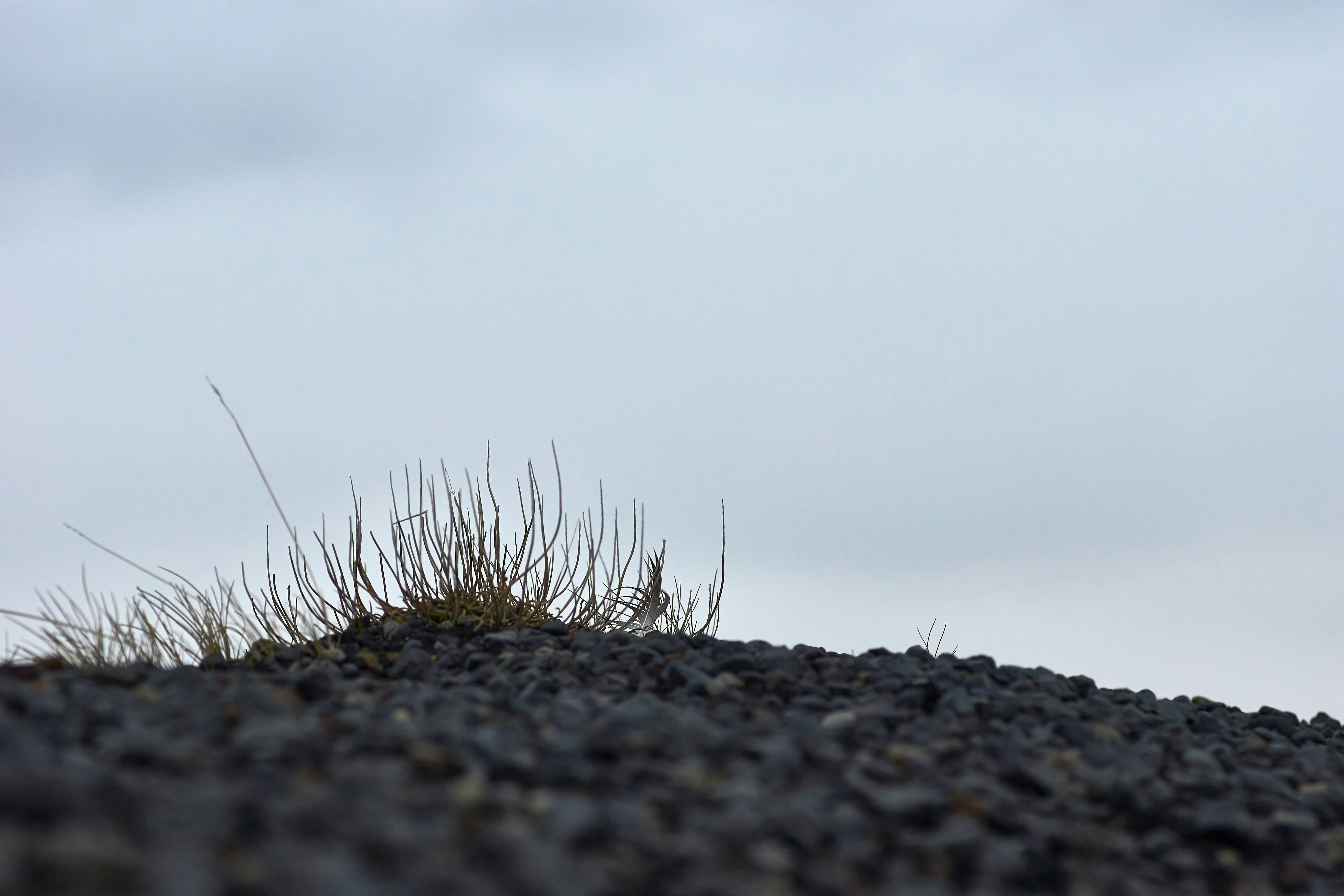 Sparse grass peeking over a rocky surface under a cloudy sky.