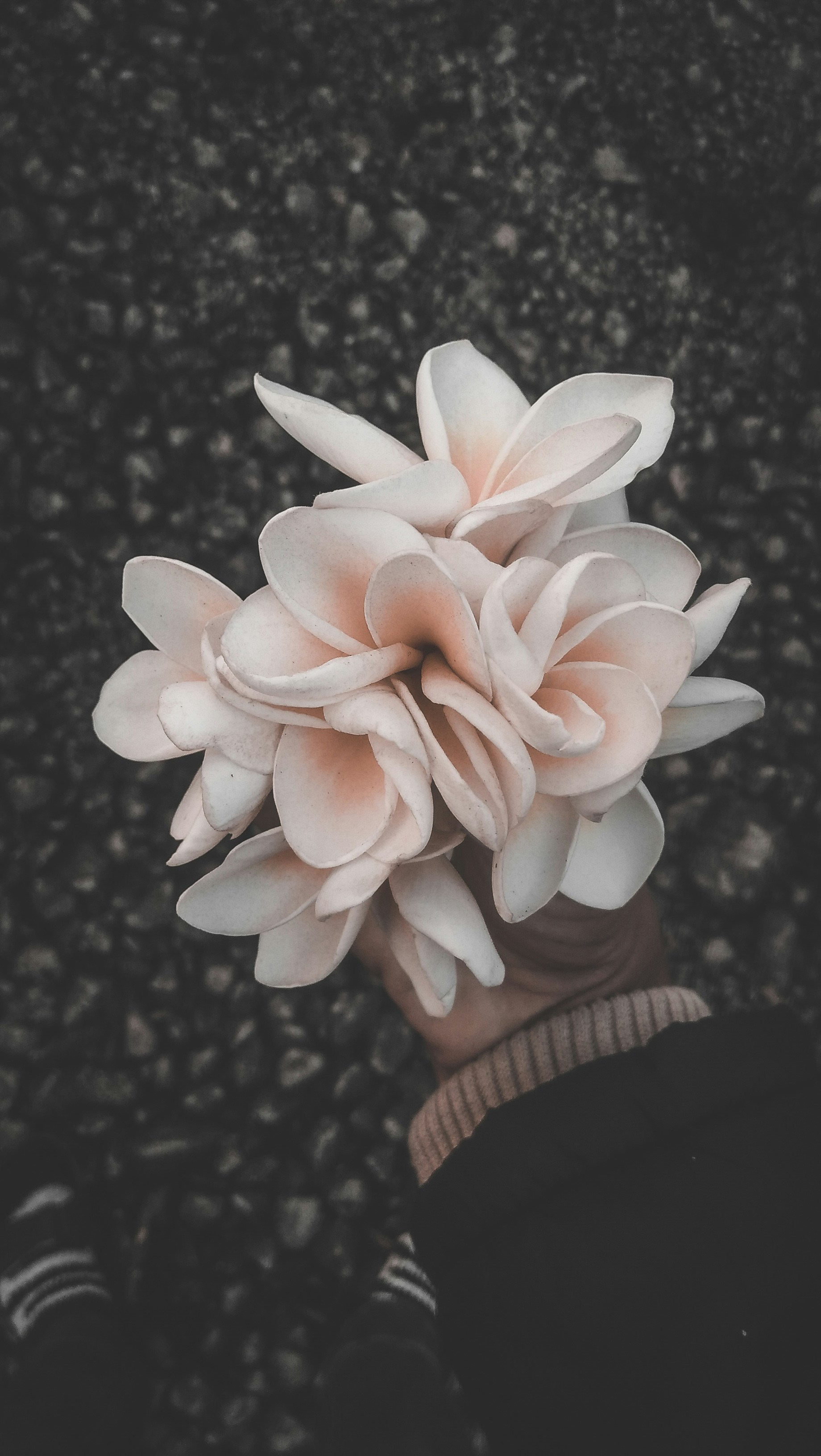 Soft Blush Bouquet Grasped Against a Dappled Ground