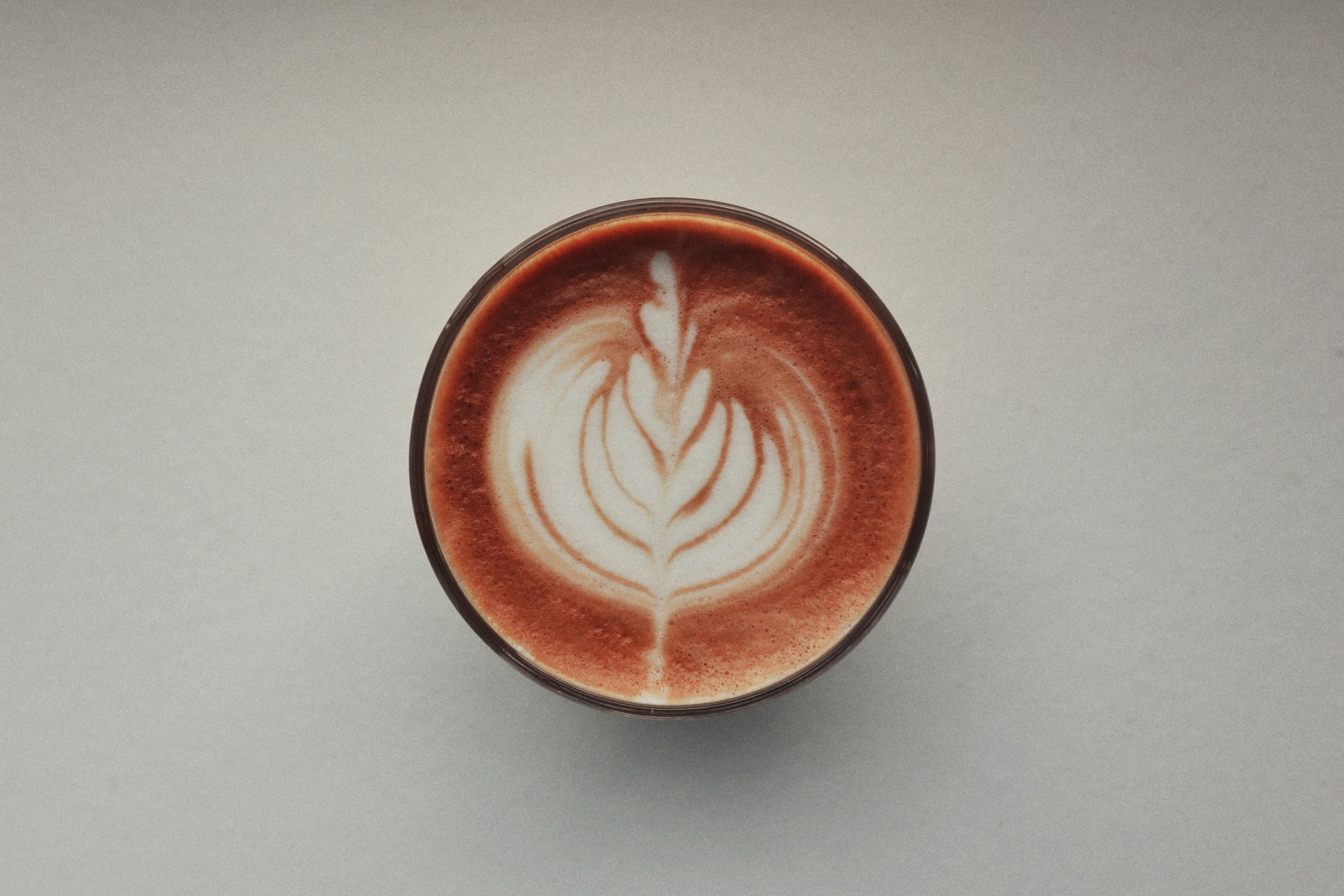 Latte art featuring a delicate leaf pattern atop a rich coffee surface, set against a neutral background.
