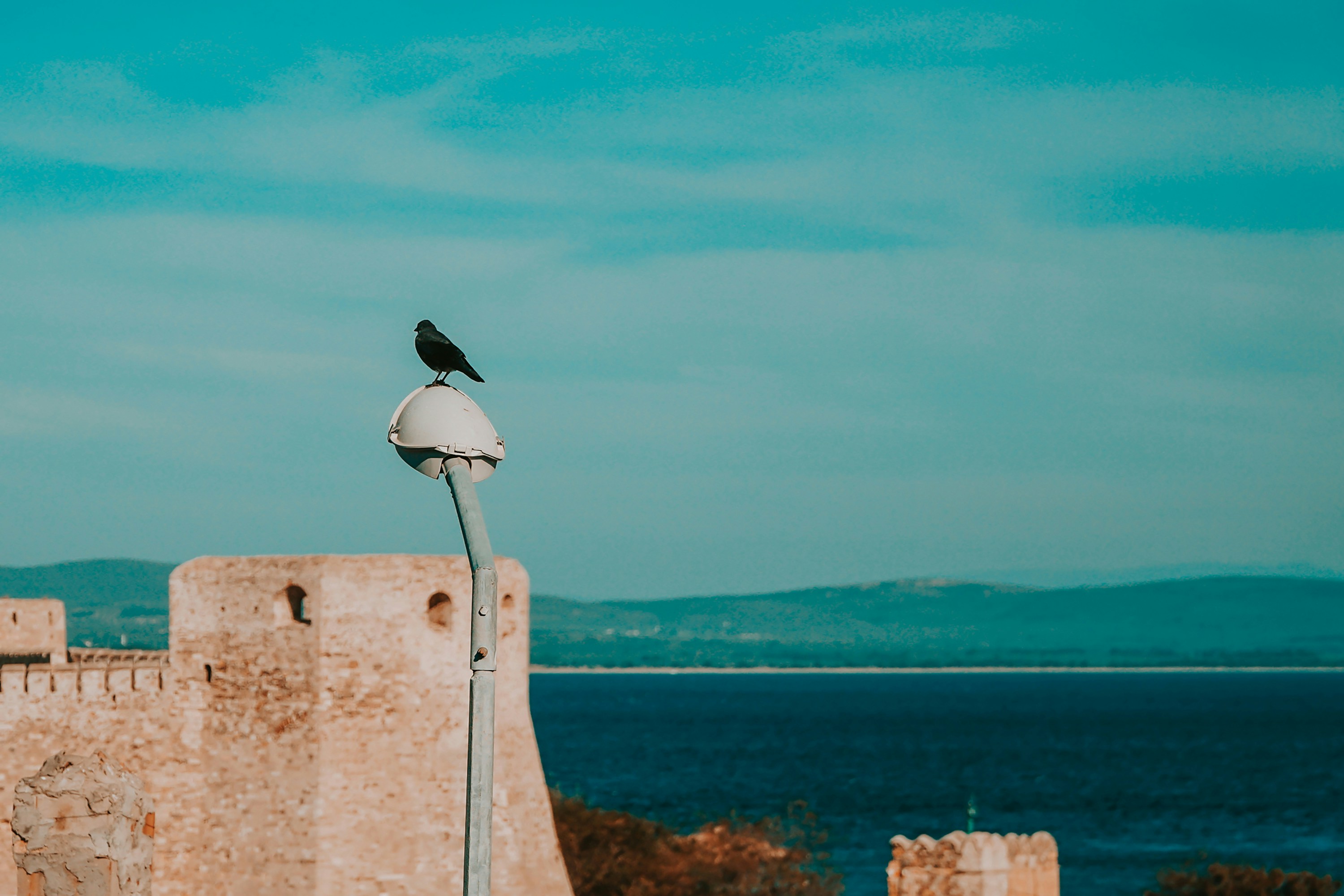Seaside Sentinel: Crow Perched on a Weathered Lamp by the Fortress