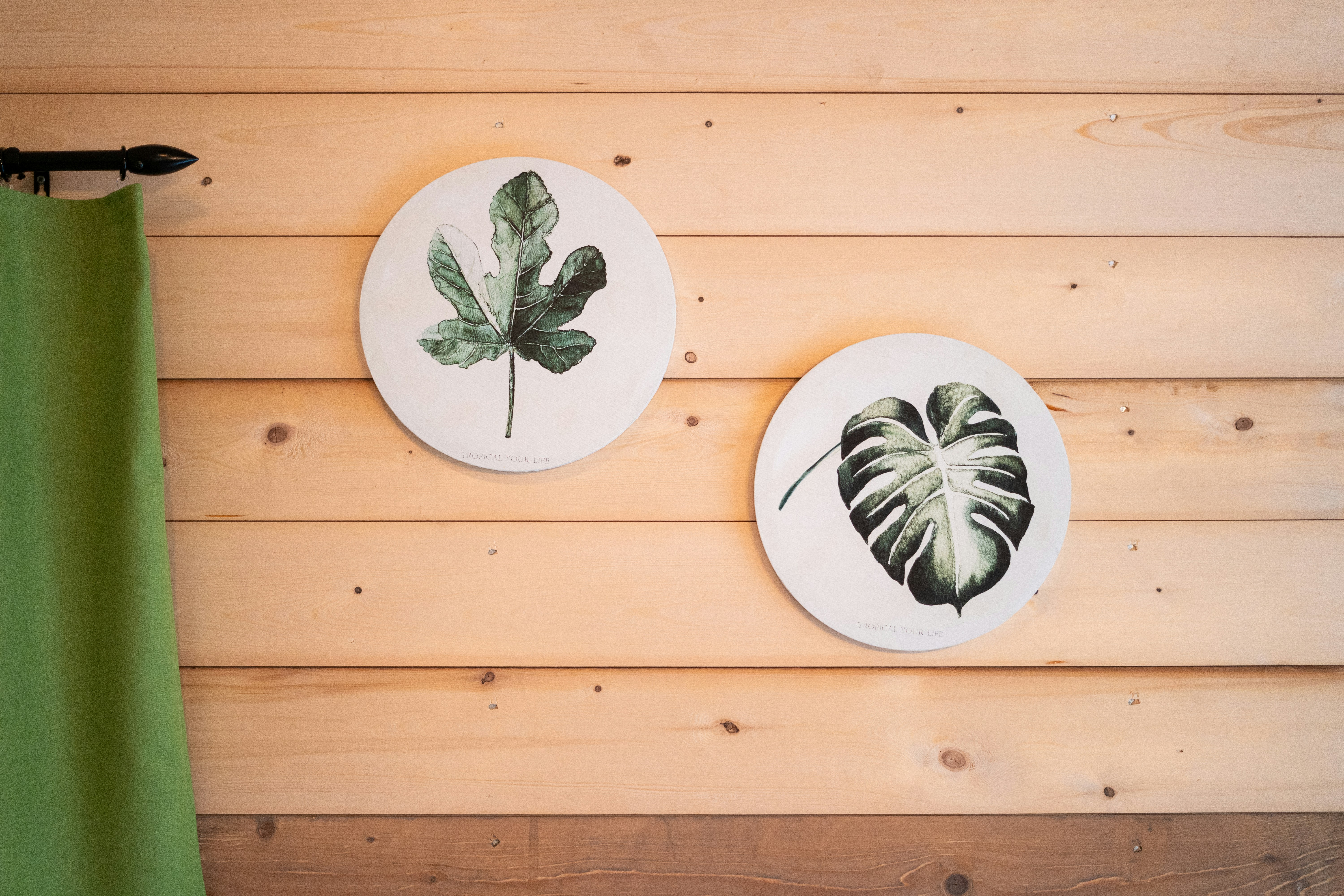 Green Leaves on White Plates Adorning a Wooden Wall