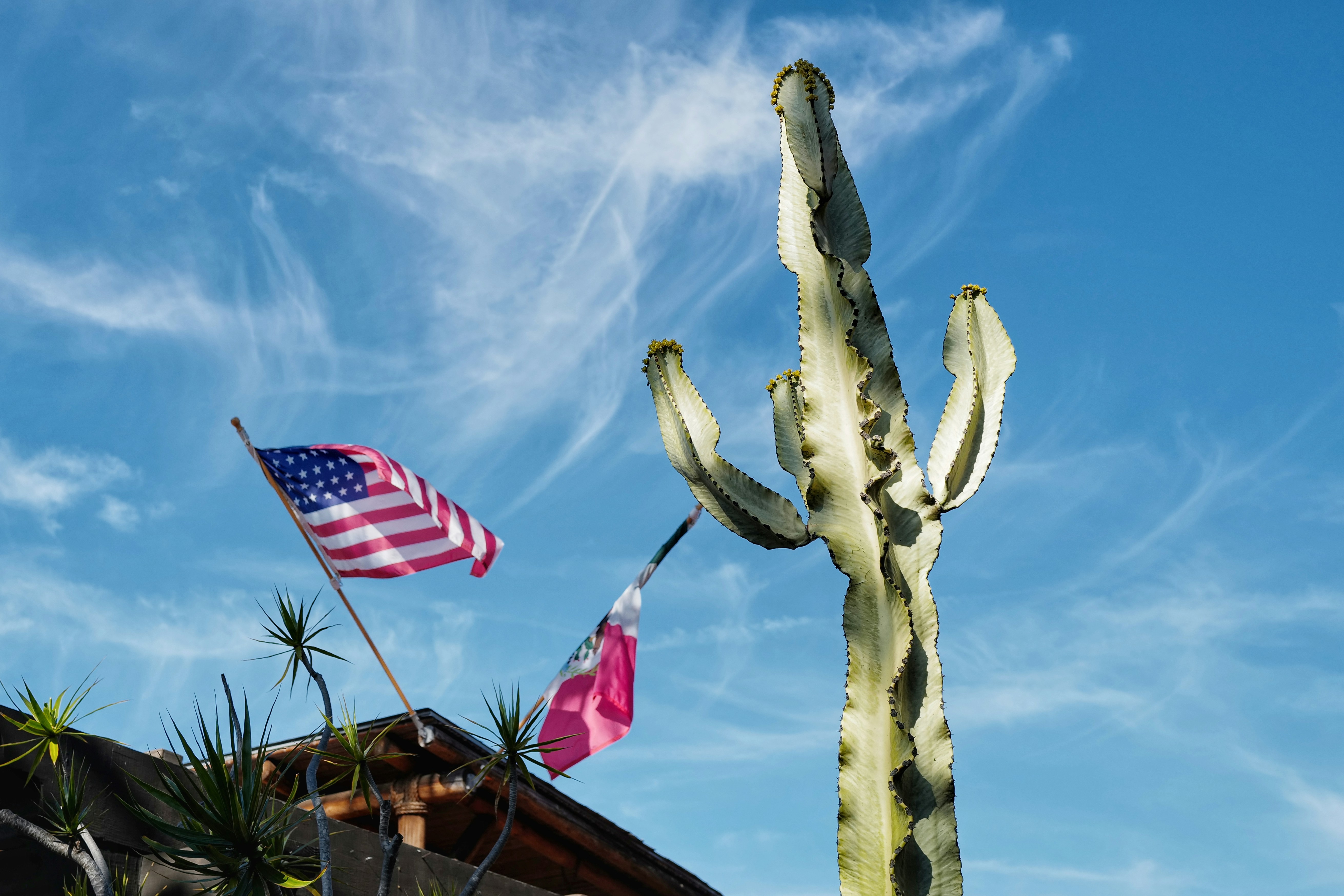 Flag and Saguaro Silhouette Under a Vivid Desert Sky