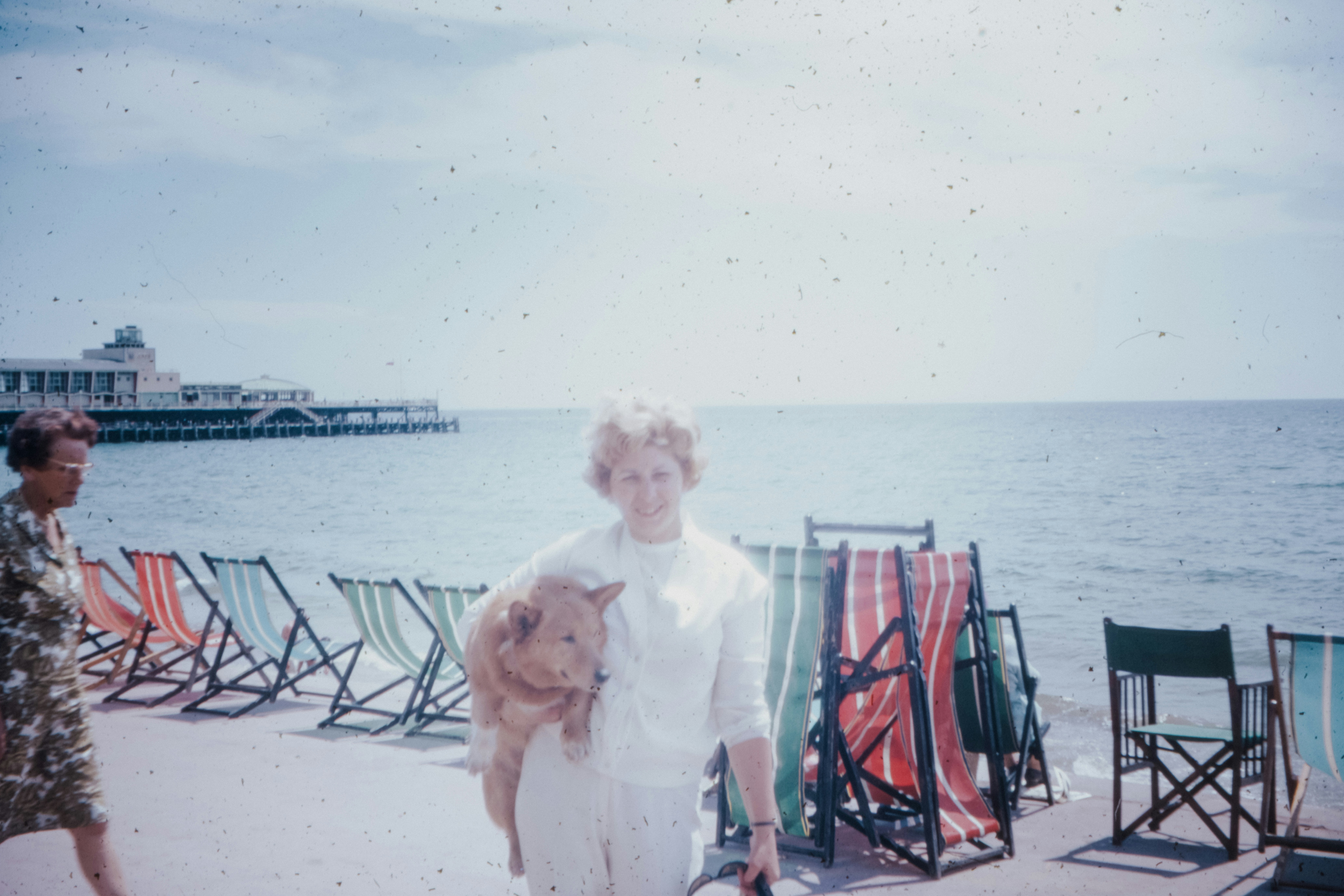 Sunlit Beach Moment: A Woman and Her Dog by the Sea