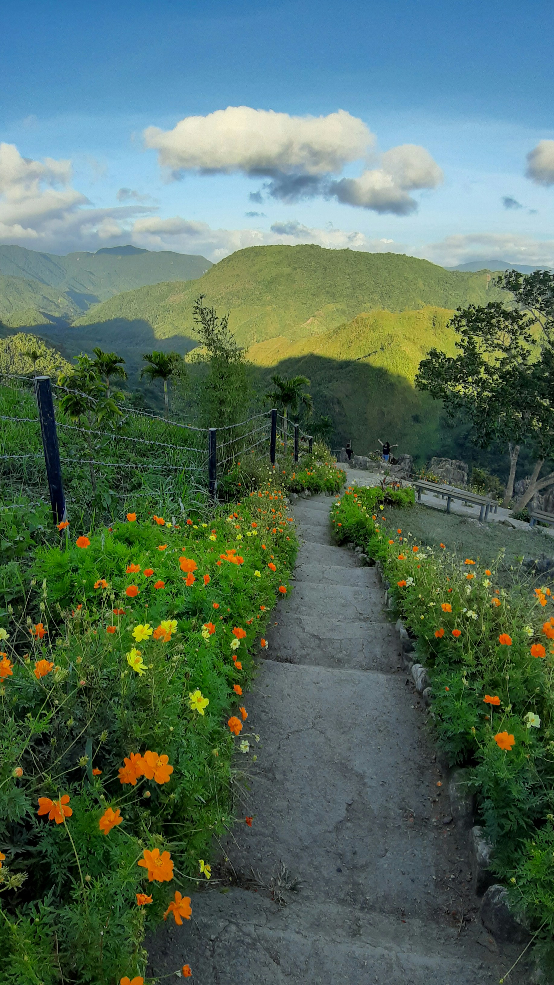A Floral Staircase Descends Toward a Verdant Horizon