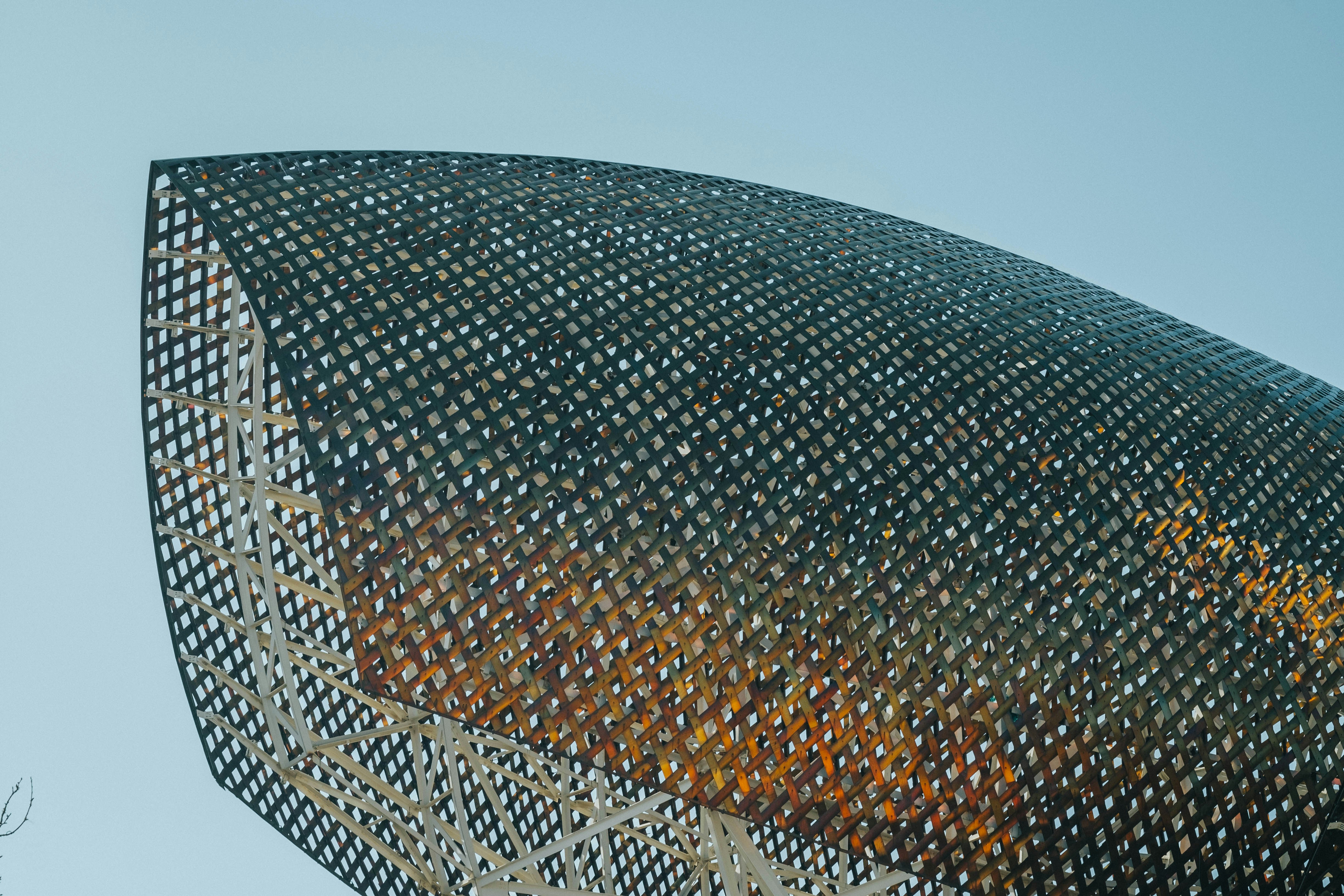 Rust Through the Lattice: A Curved Metal Mesh in Sky-Blue Light