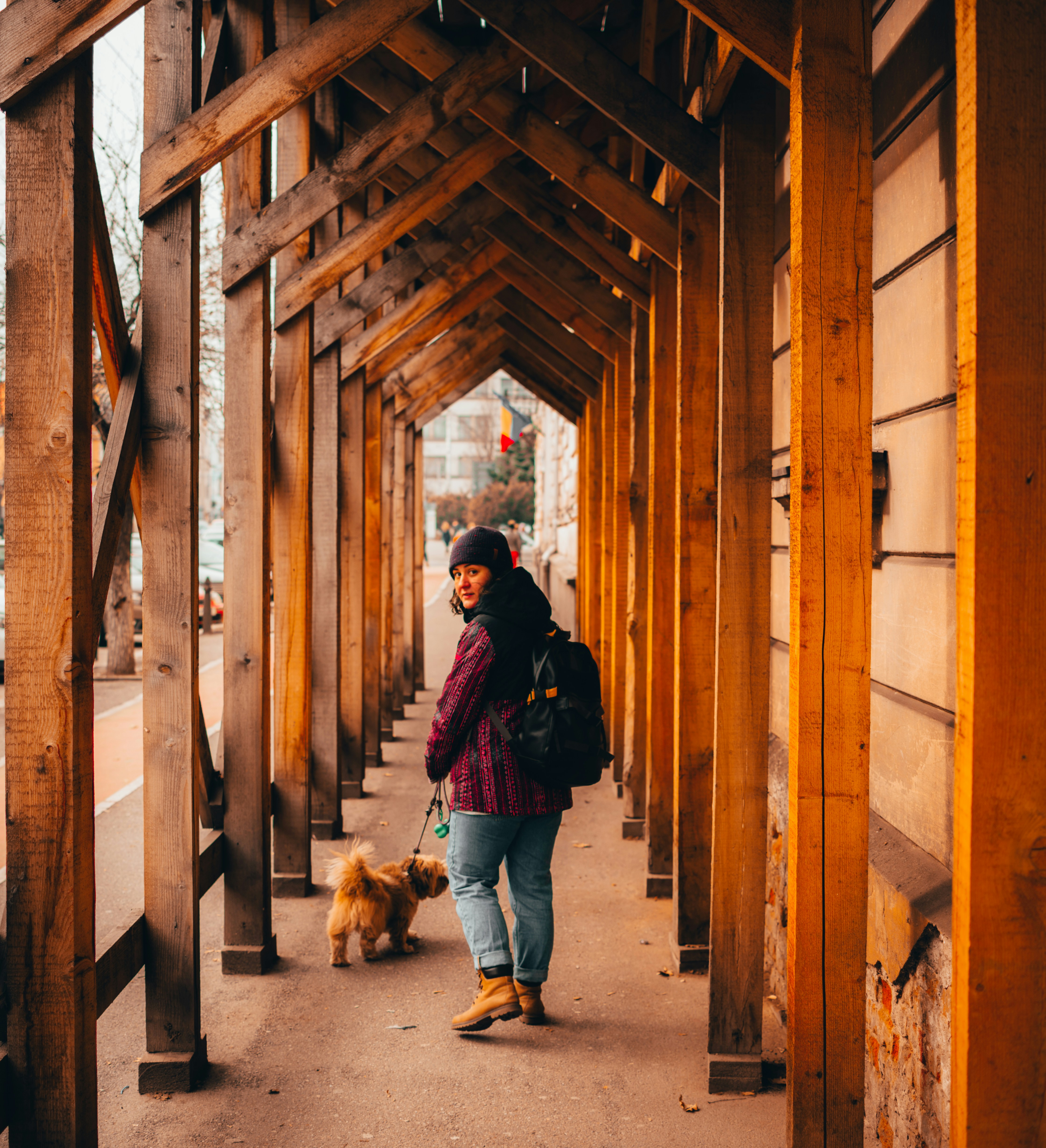 Backlit Traveler Under a Wooden Corridor with a Leash-Haired Companion