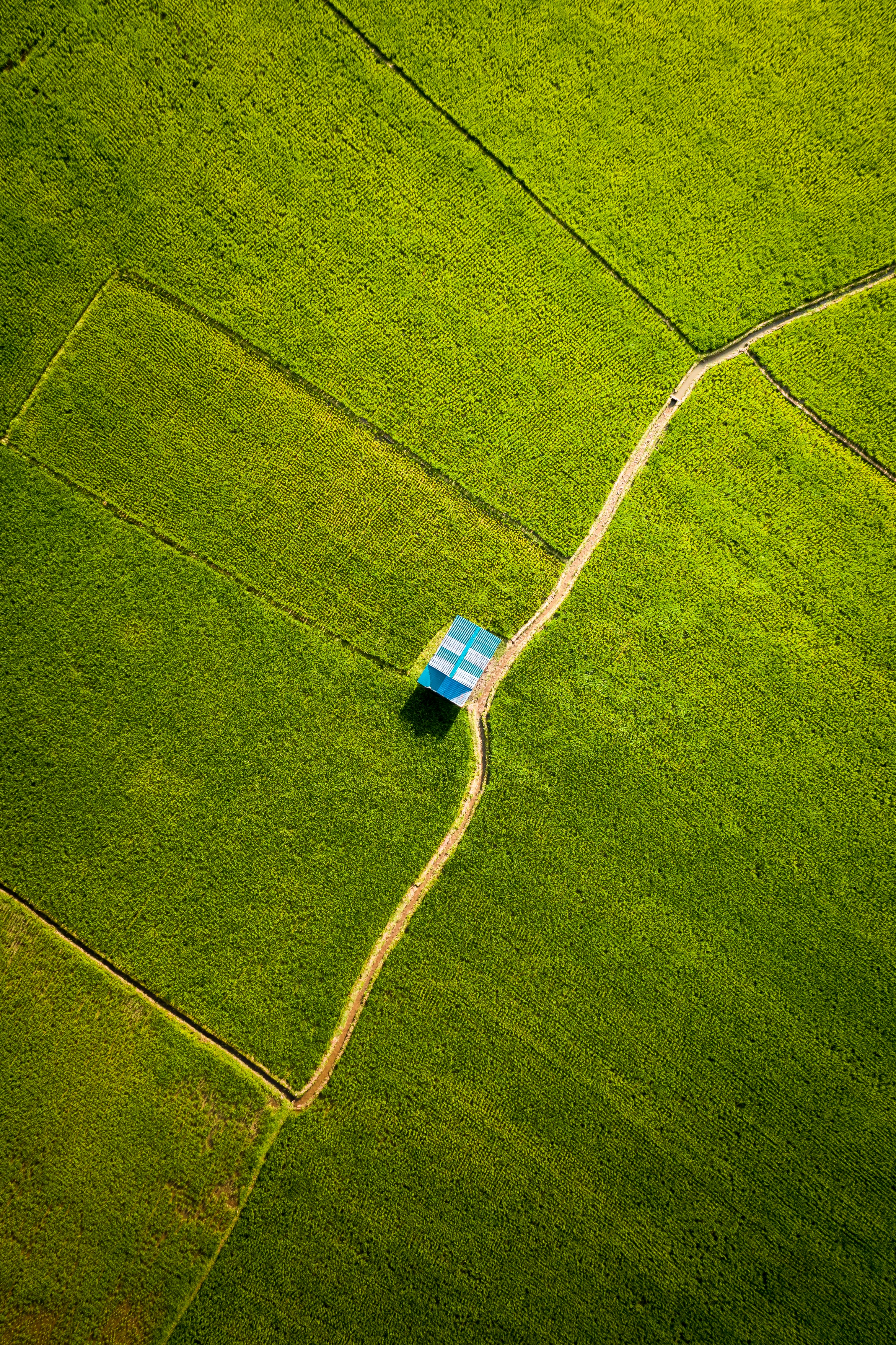 Azure Roof on a Winding Ribbon Through Patchwork Fields