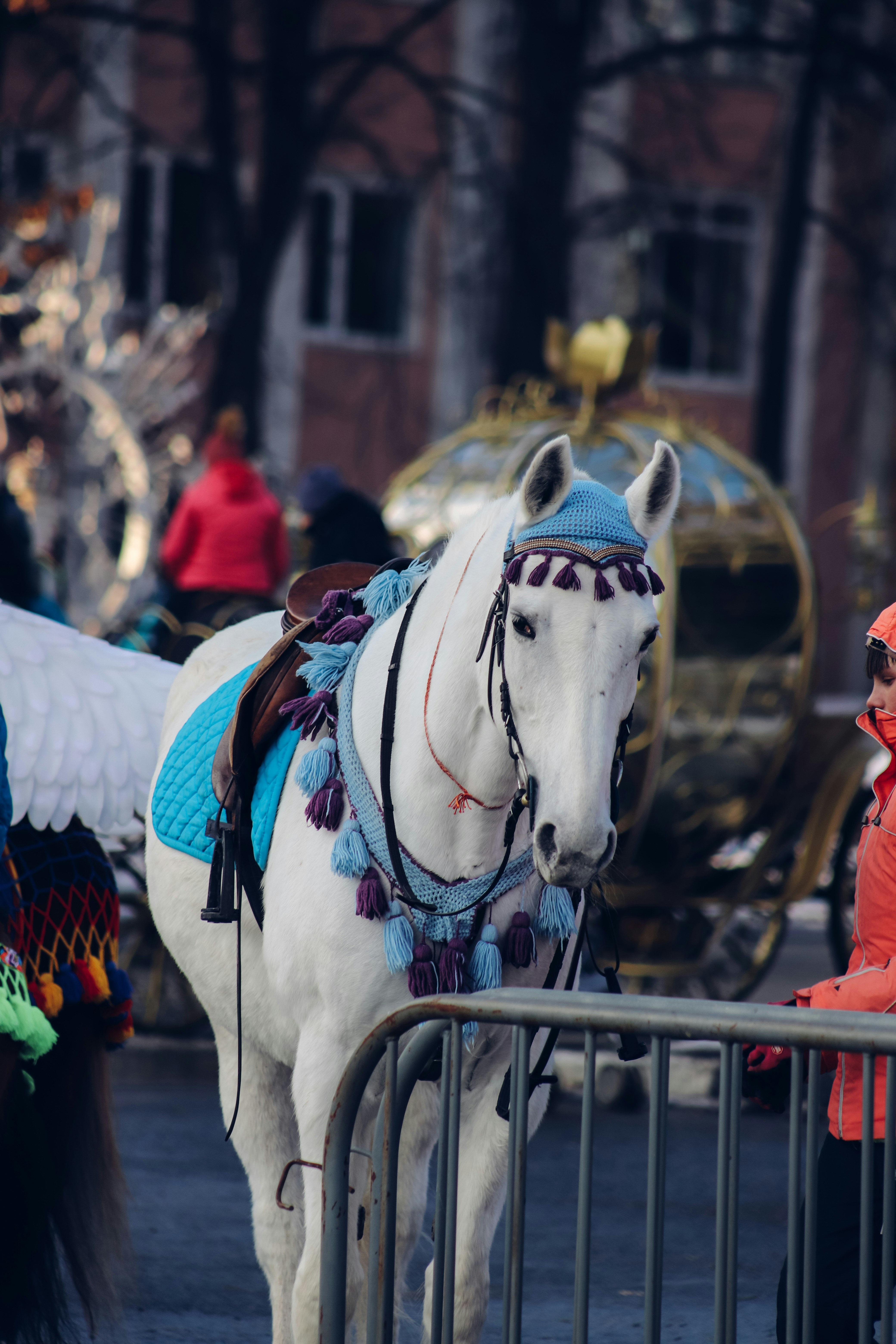 white horse with red and blue horse carriage