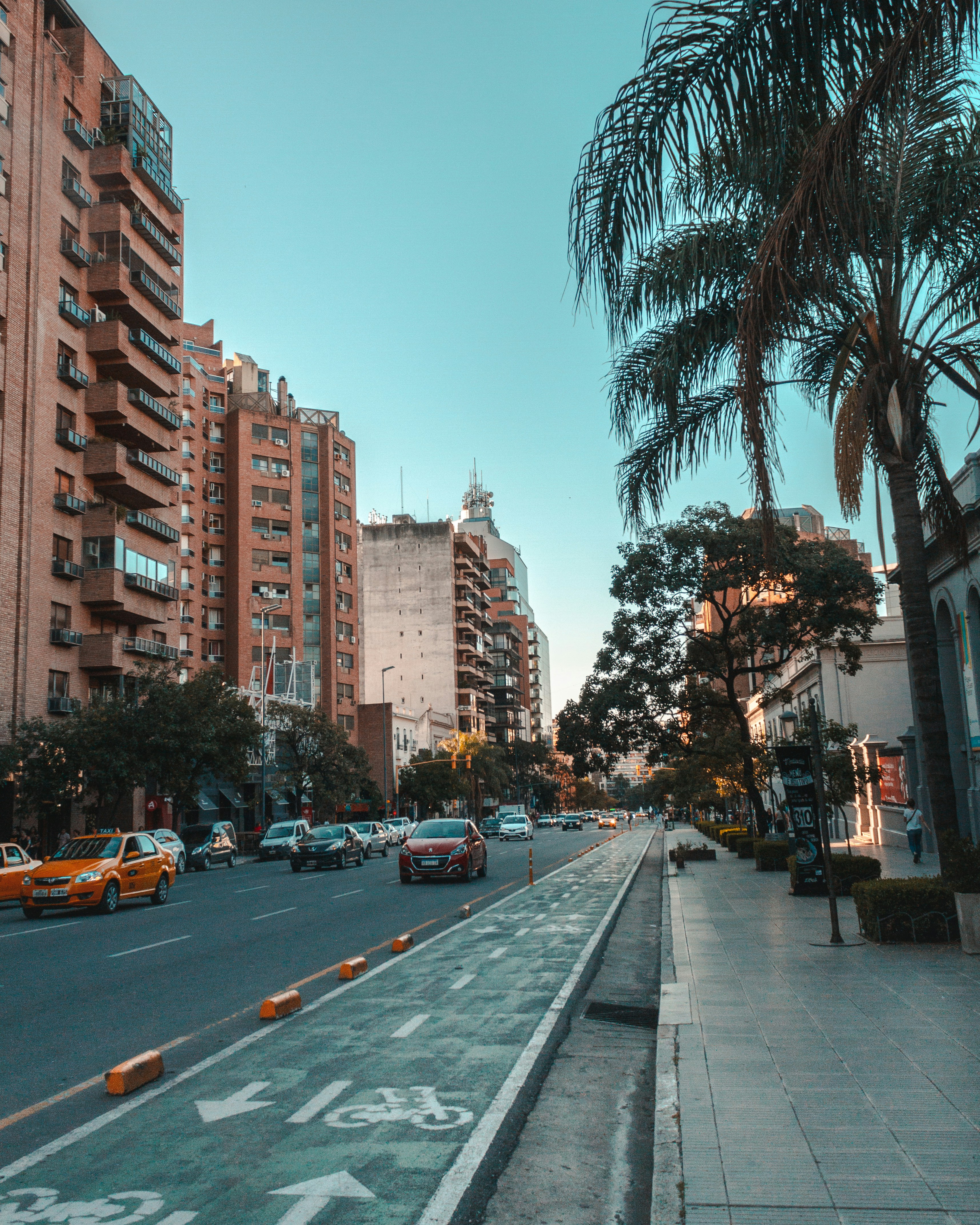 cars parked on the side of the road during daytime