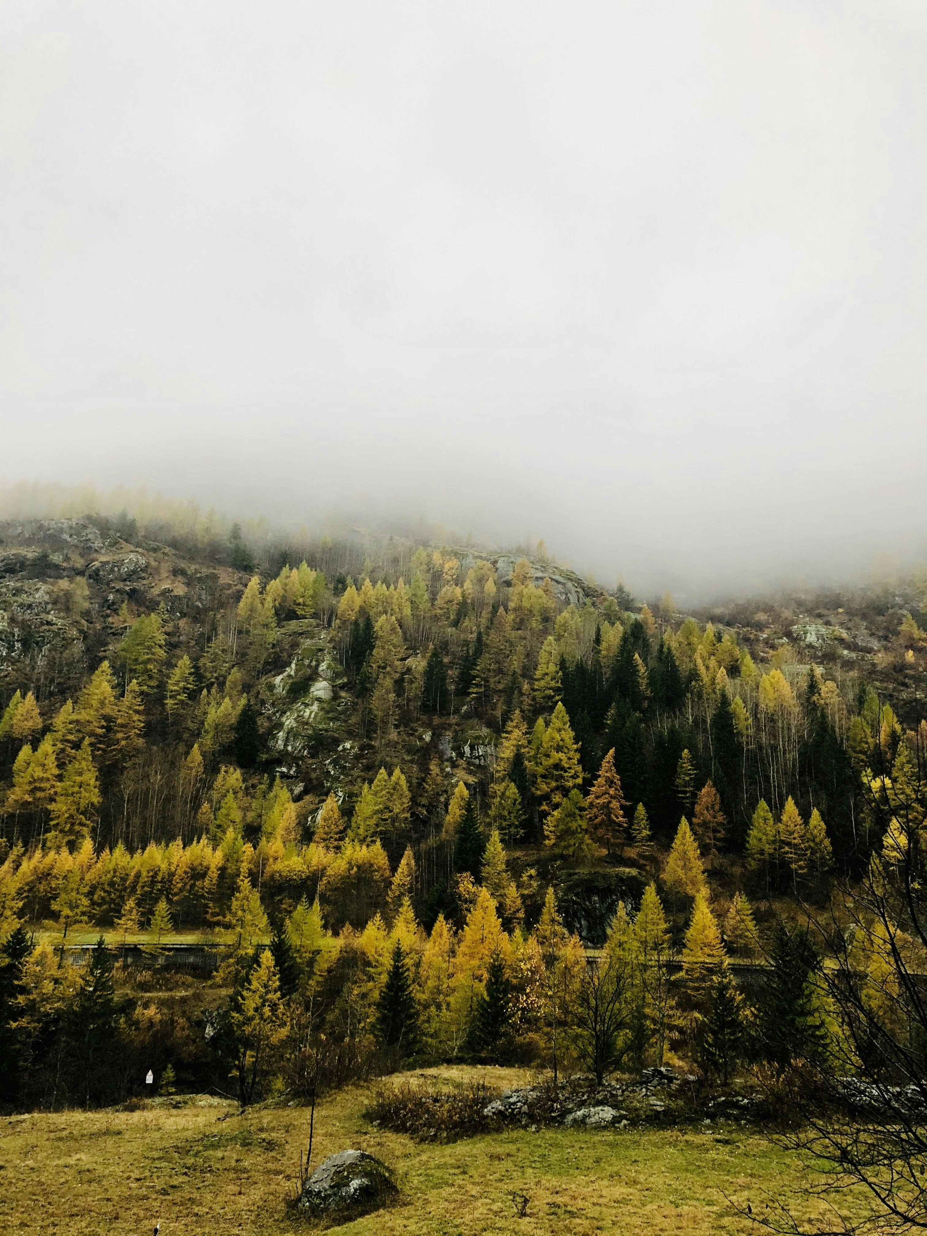 Looking the mountains...
