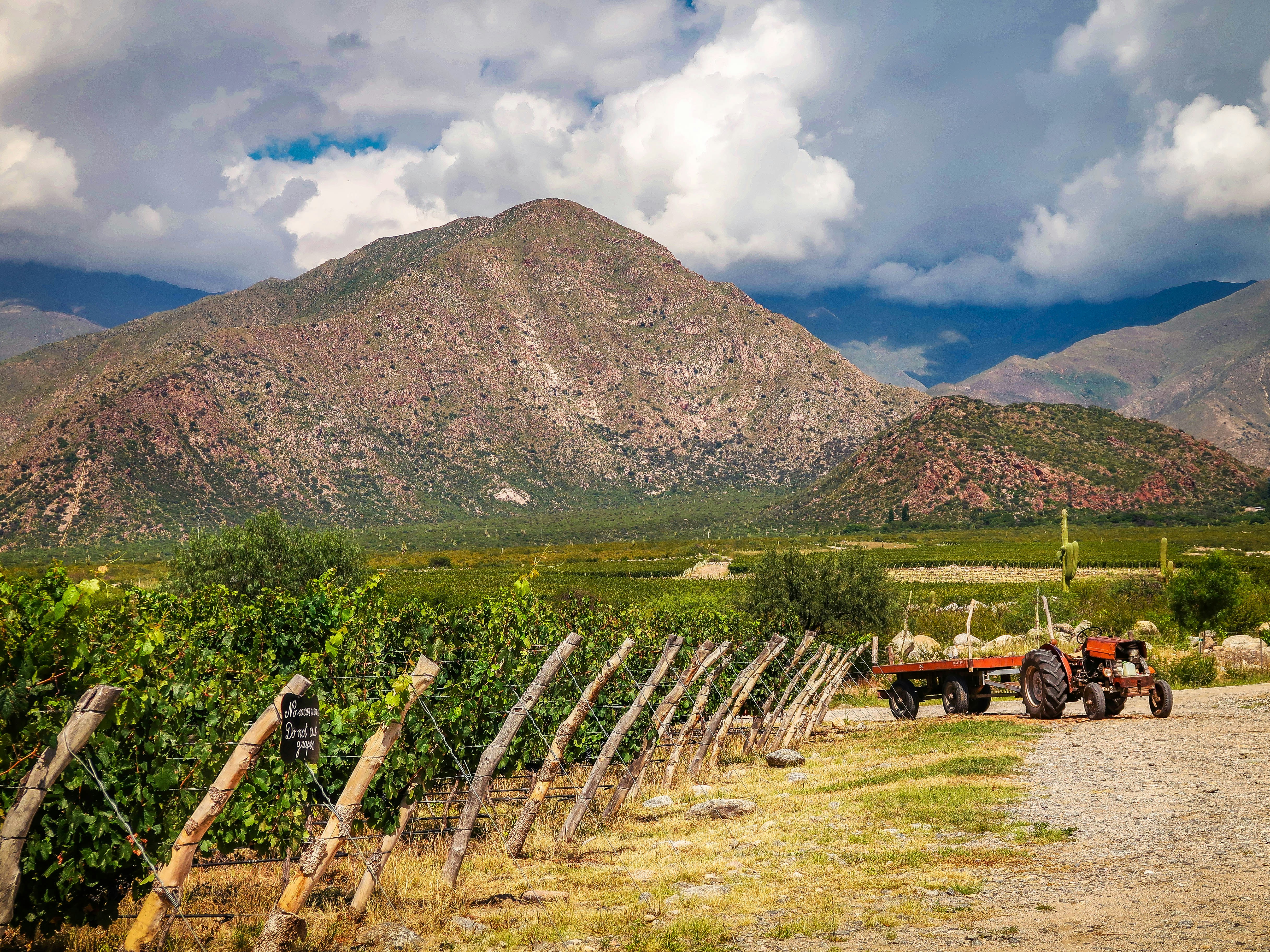 Toward the Silent Ridge: Vineyard Fence and Tractor at Dusk Mountain