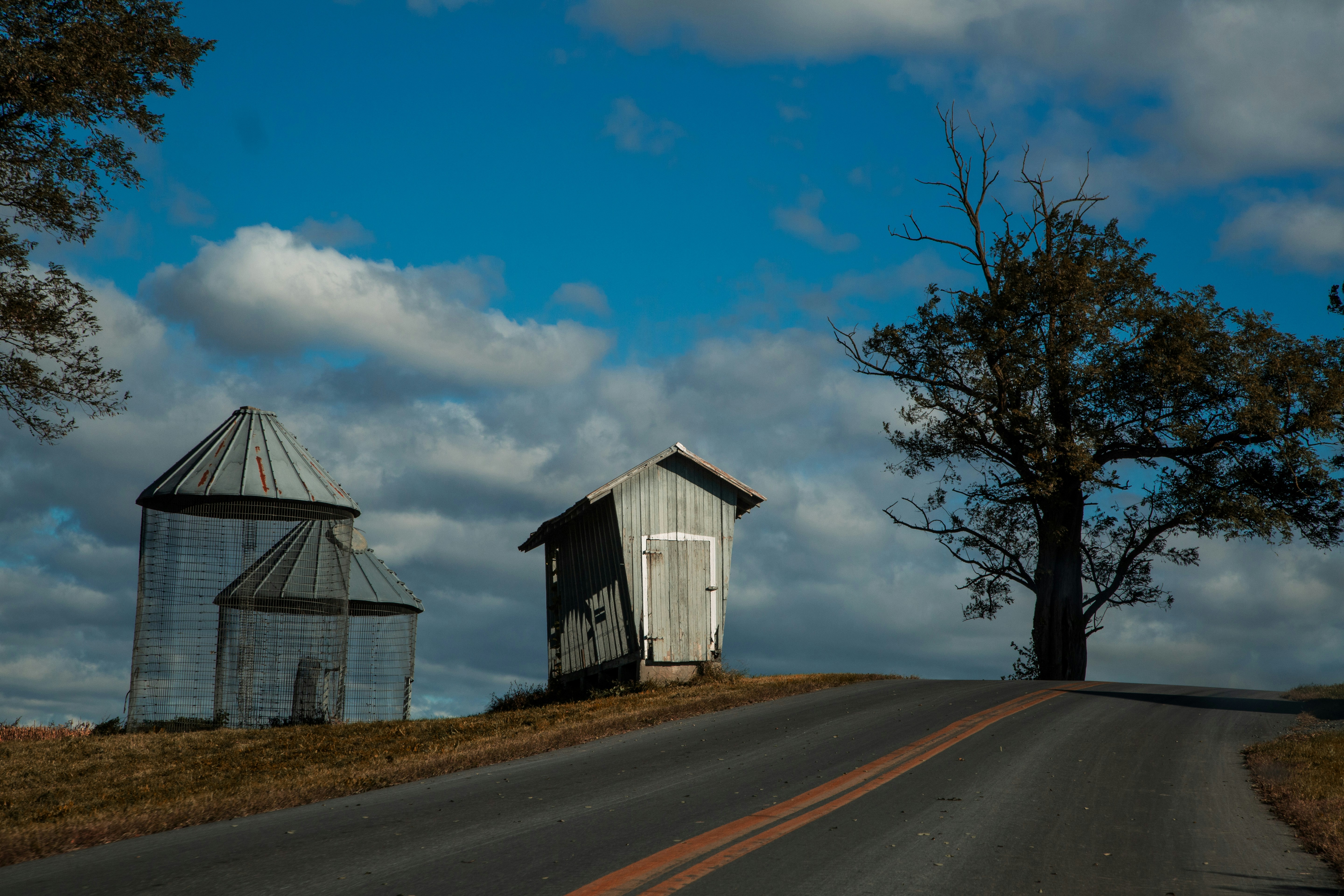 Gray wooden house beside bare trees under blue sky during daytime photo ...