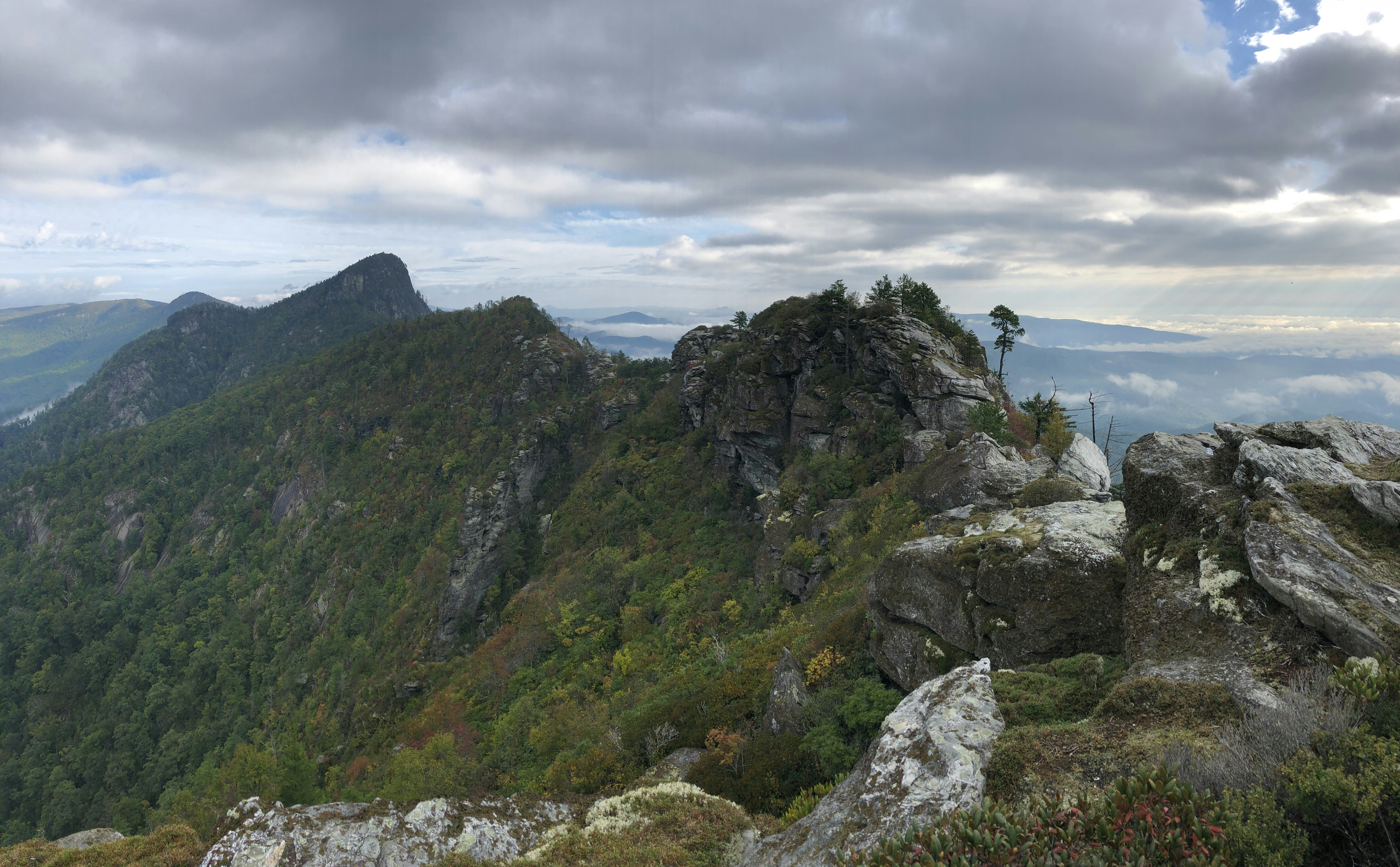 A panoramic view of rugged mountain ridges enveloped in lush greenery under a cloudy sky. The rocky outcrops and distant peaks create a dramatic landscape.