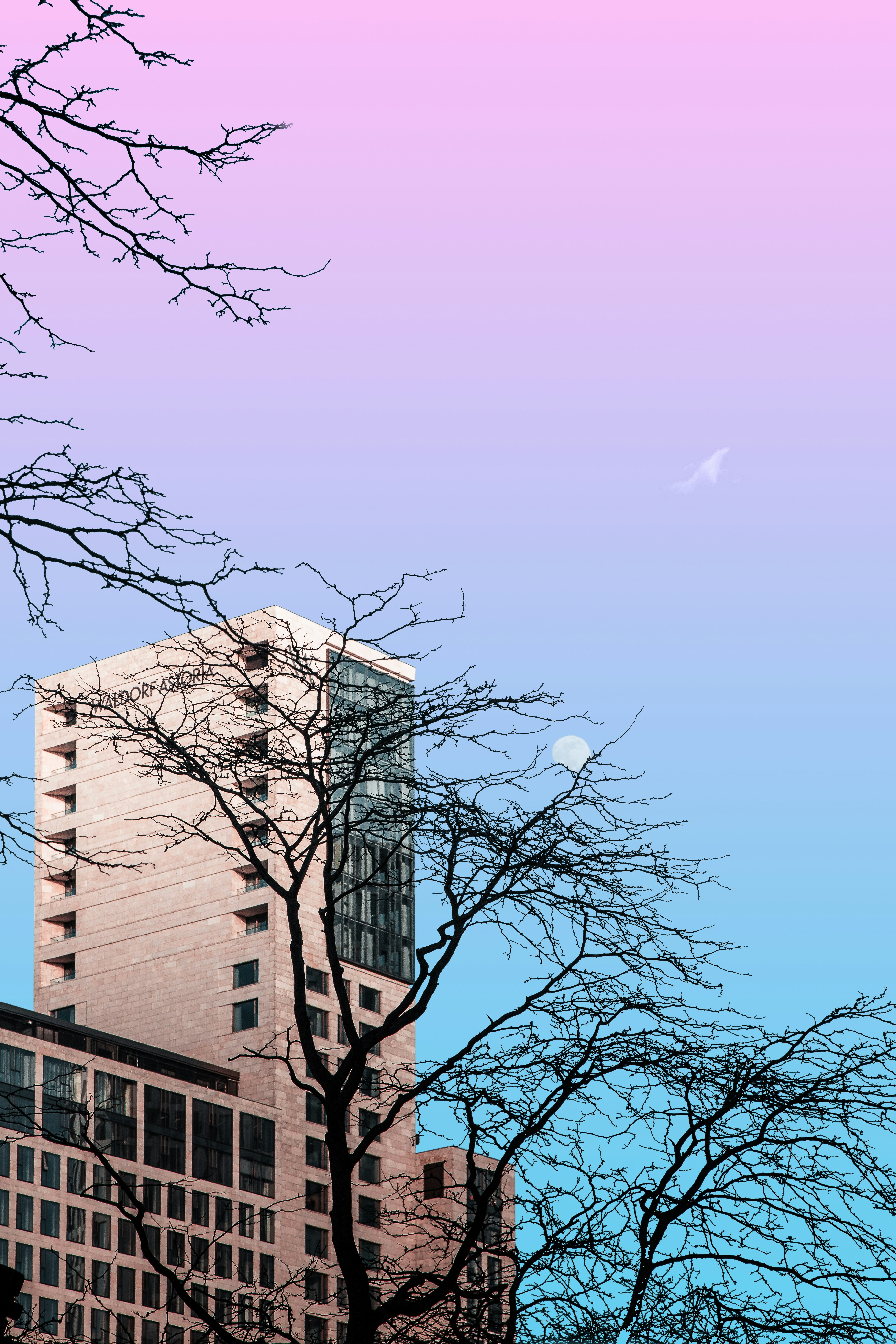 Gradients Pictures | Download Free Images on Unsplash