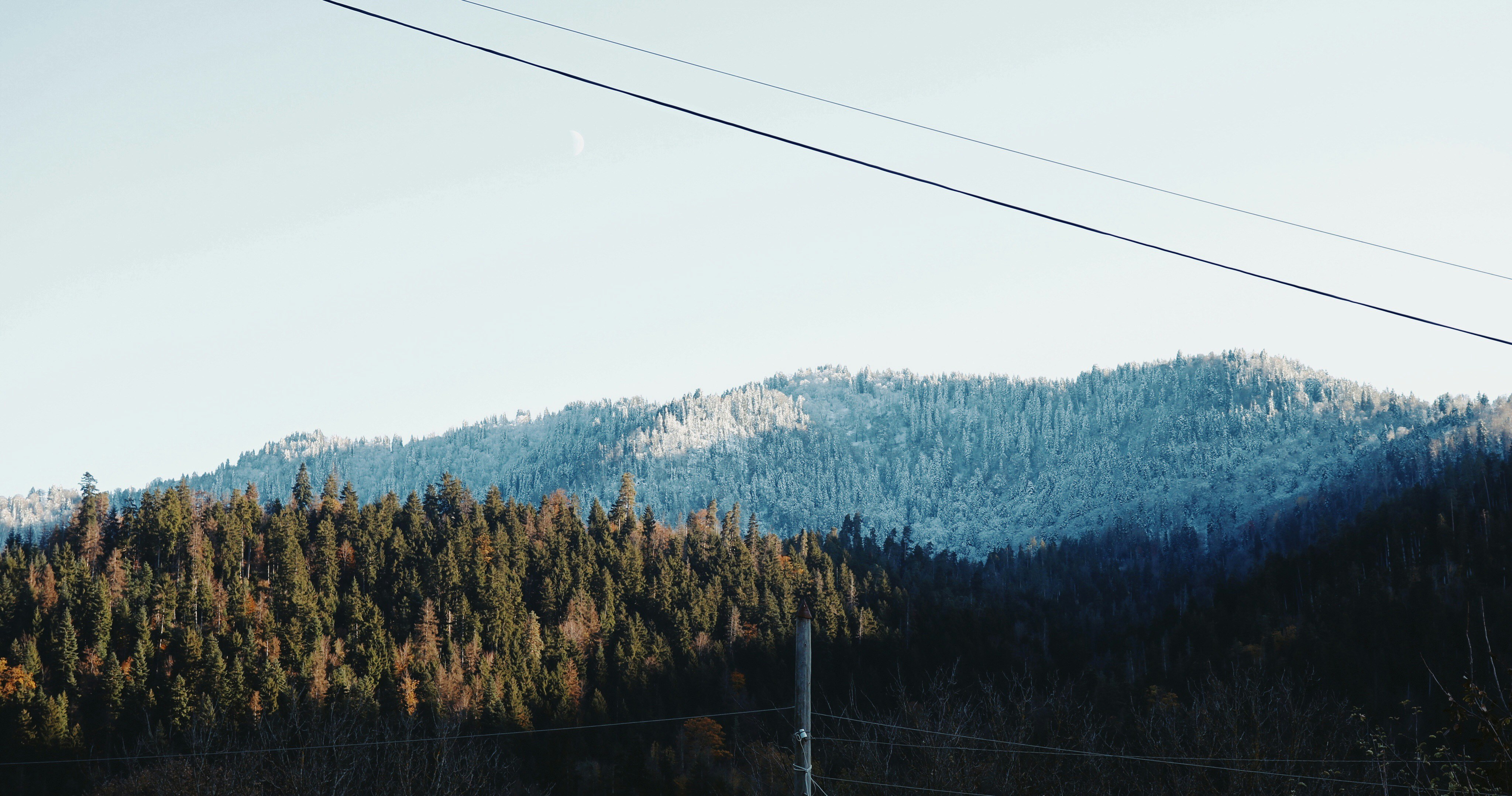 Whispers of Winter's Embrace