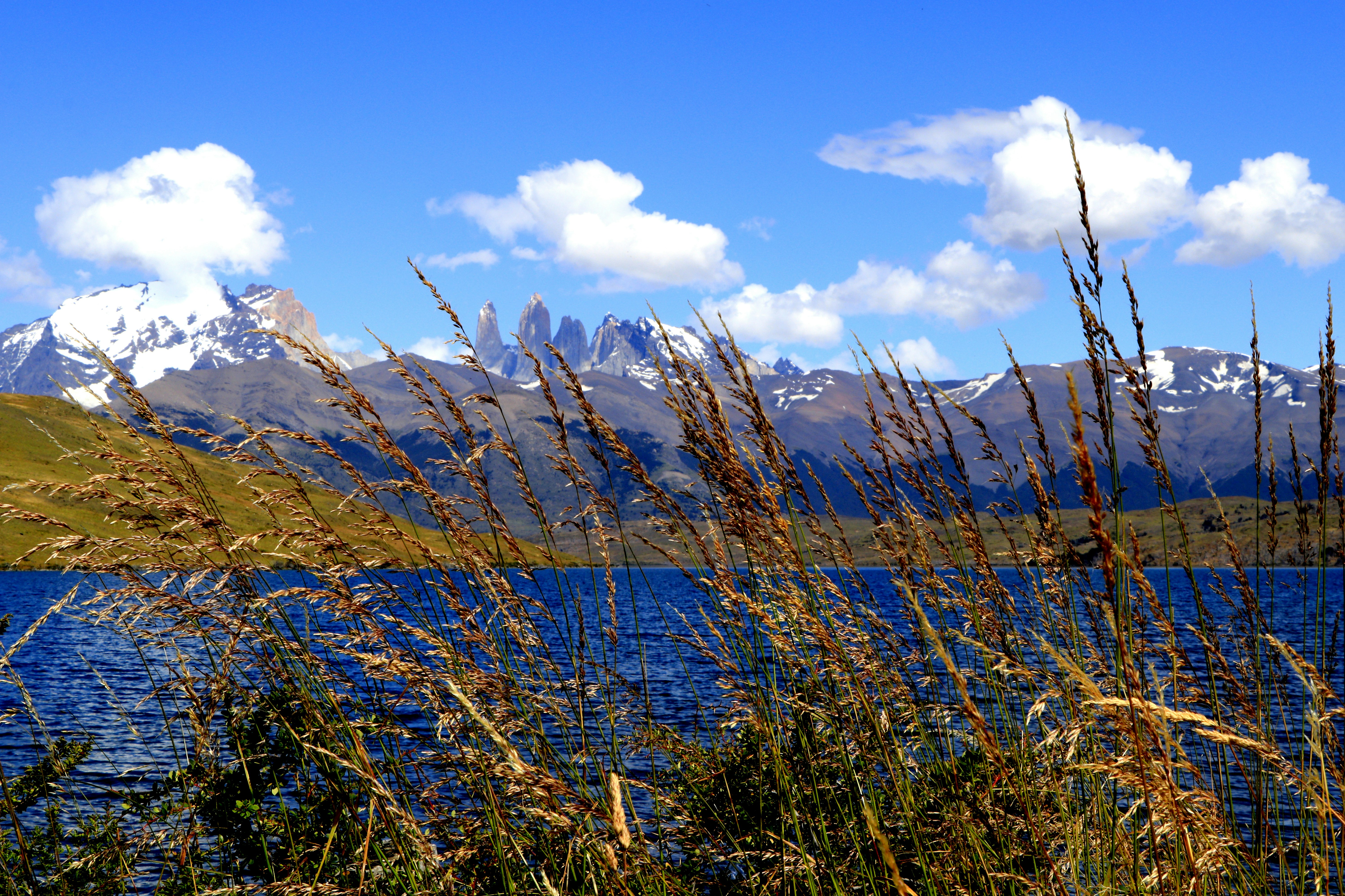 Snow-capped mountains rise beyond a lake framed by tall grasses under a sky with fluffy clouds.