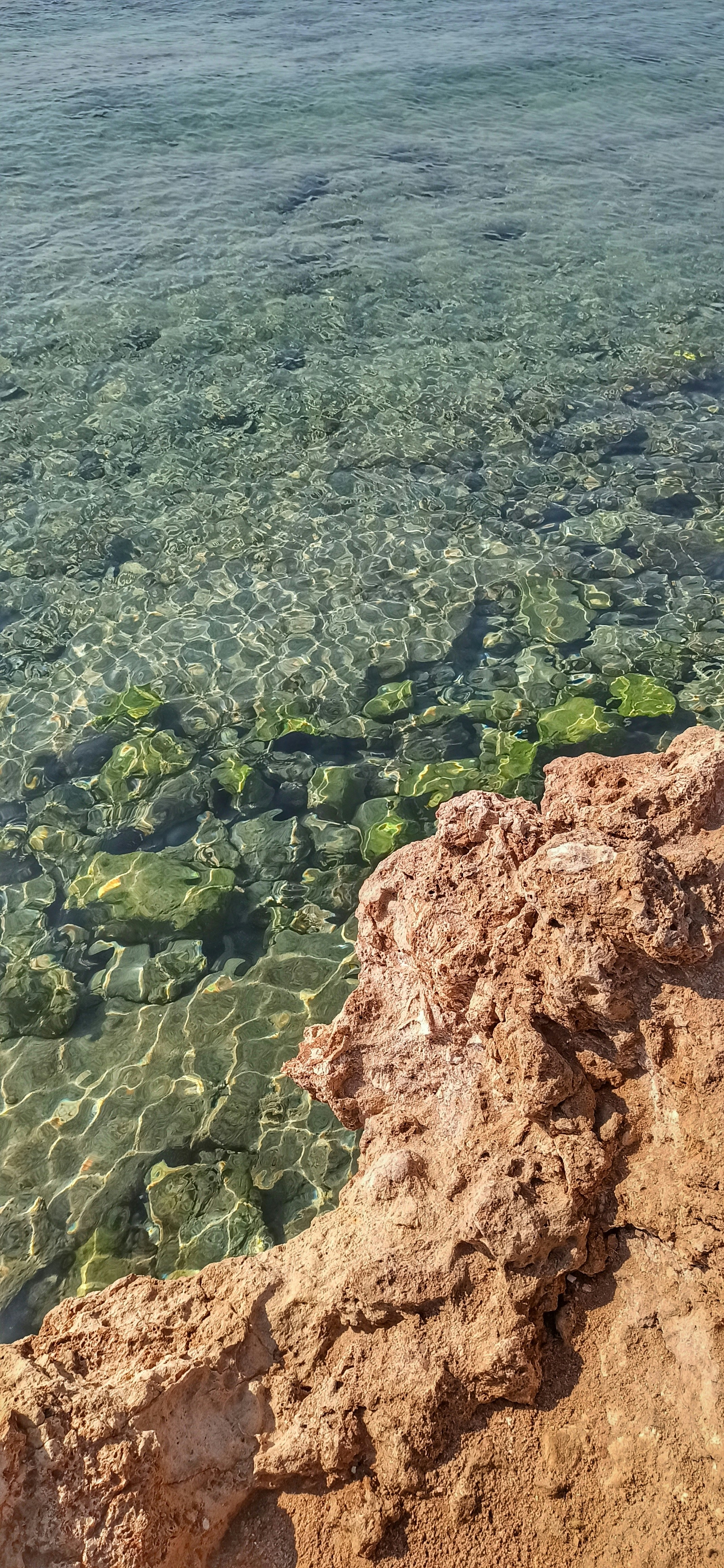 Clear turquoise water revealing vibrant underwater rocks and vegetation, framed by a rugged shoreline. The scene captures the tranquility of a coastal environment.