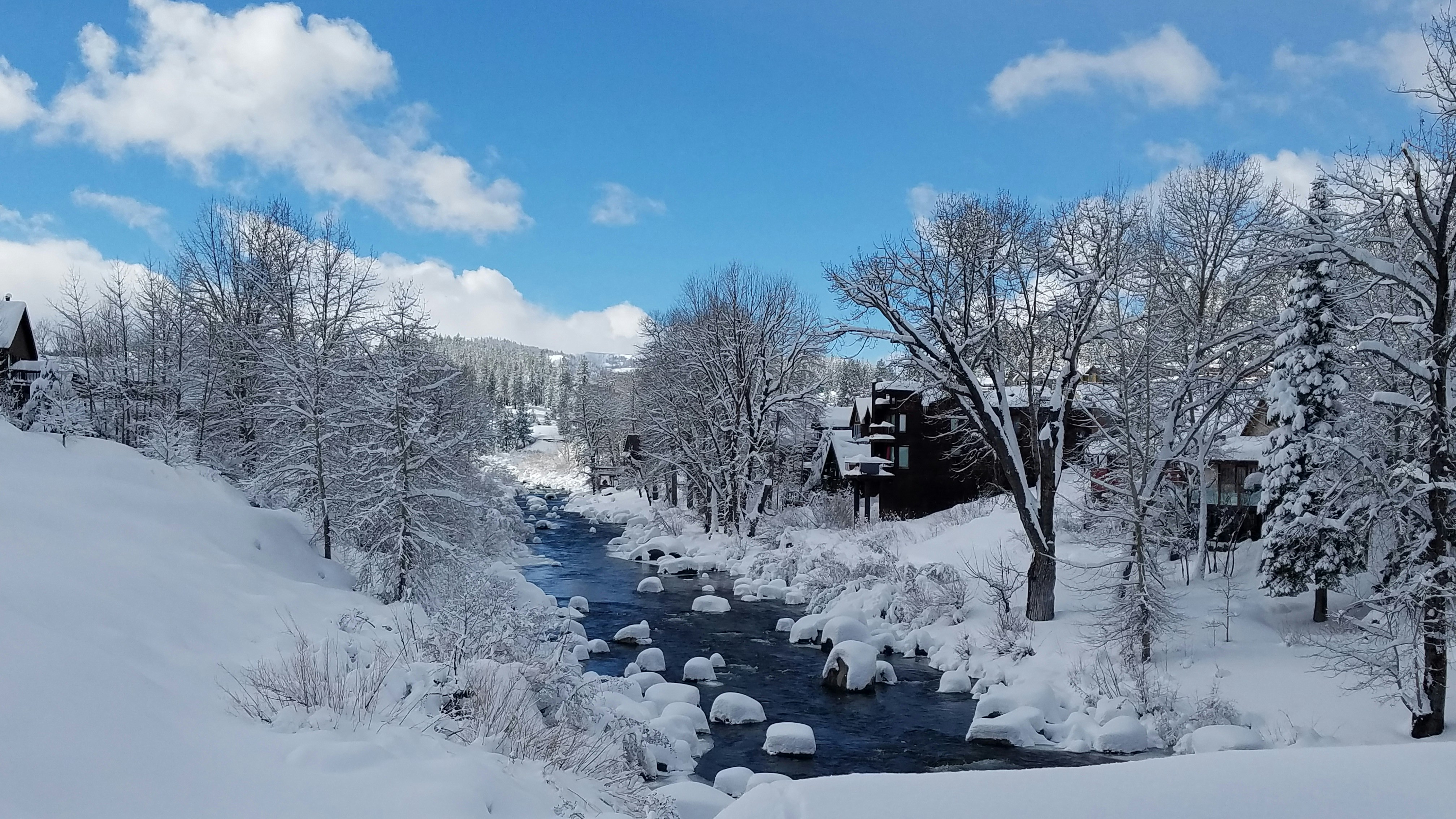 Winter's Silent Stream