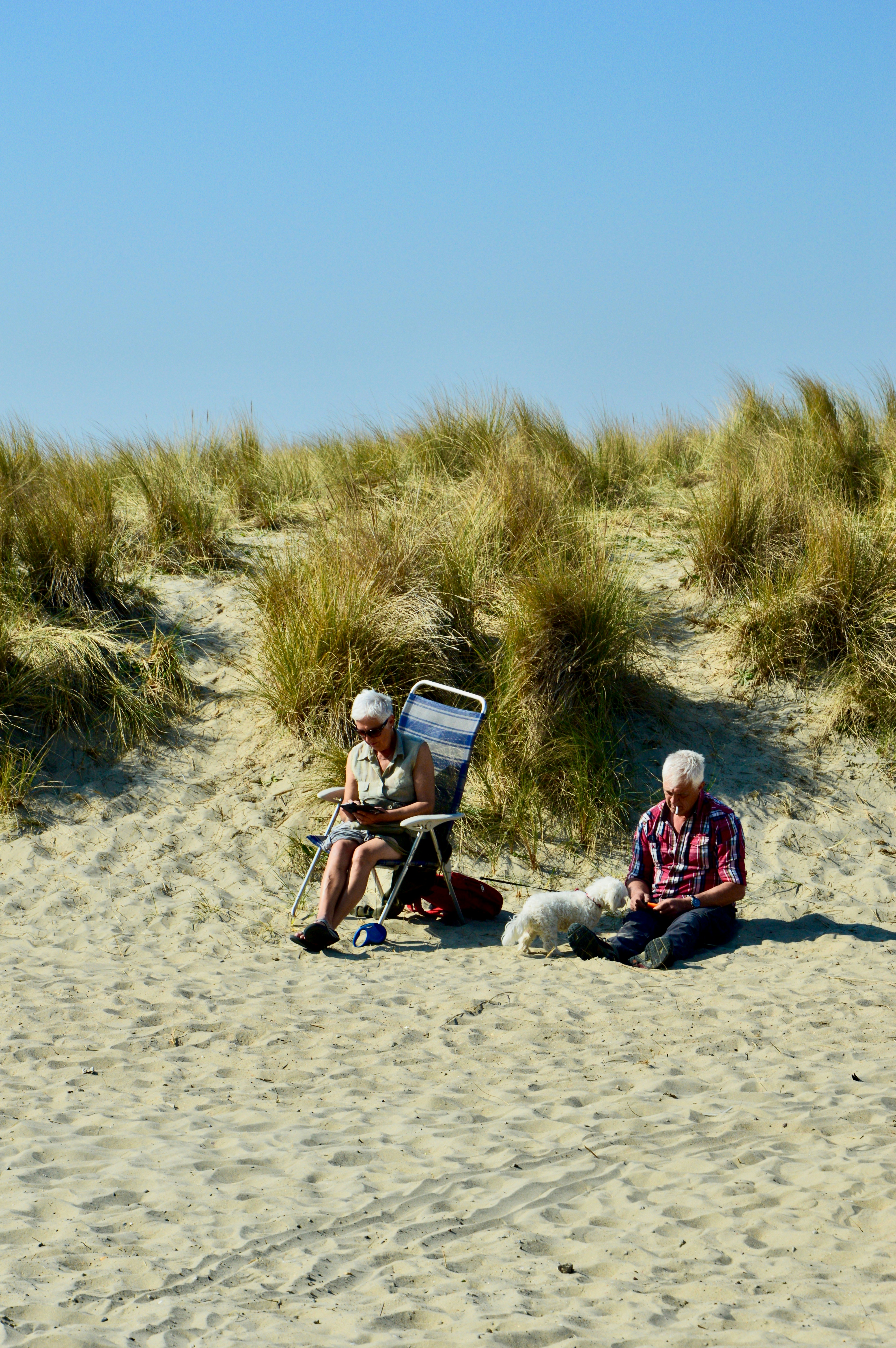 Dune-side Quiet: Elder Couple and Dog in a Sunlit Beach Moment