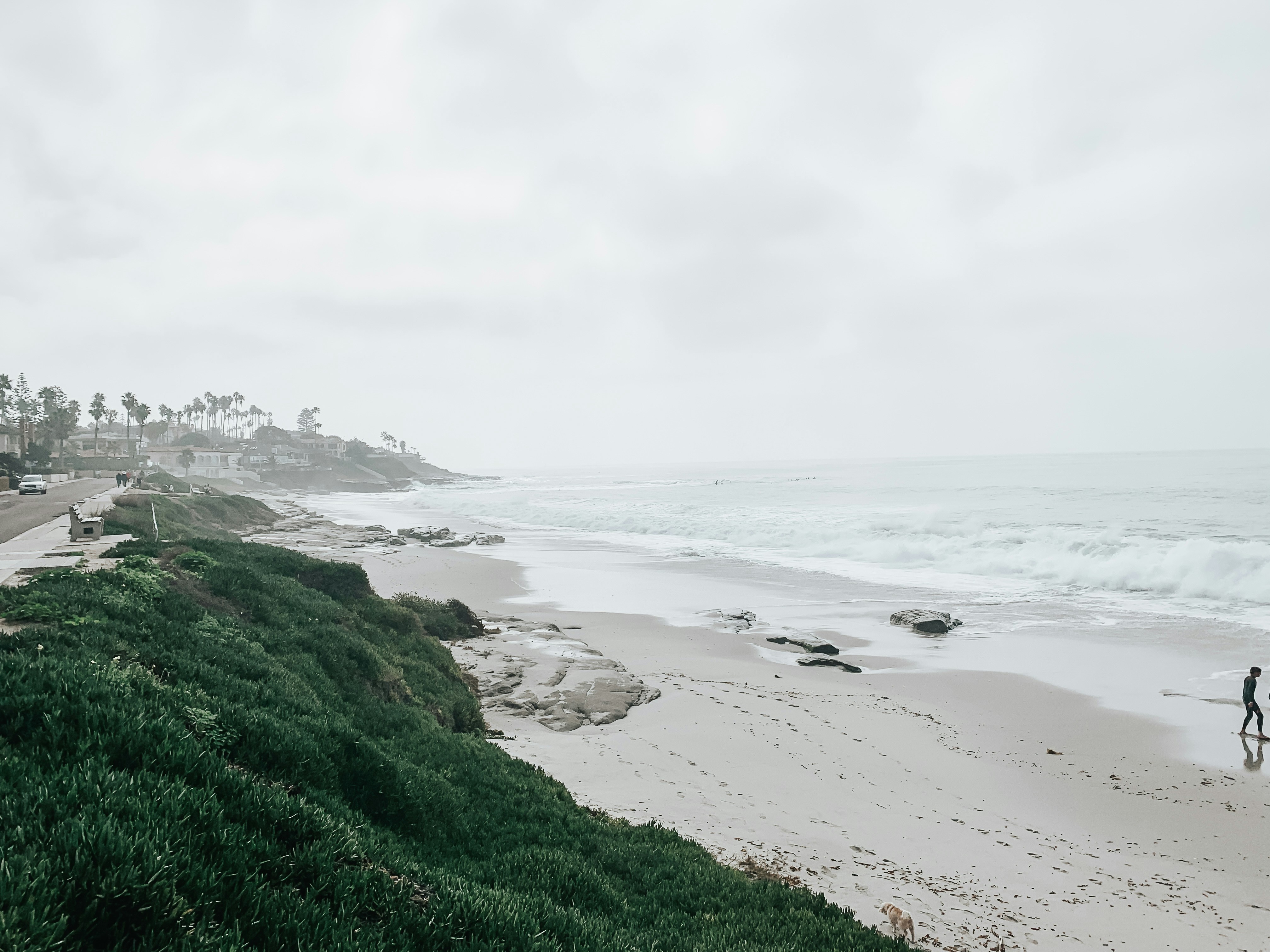 Green grass field near sea under white clouds during daytime photo ...