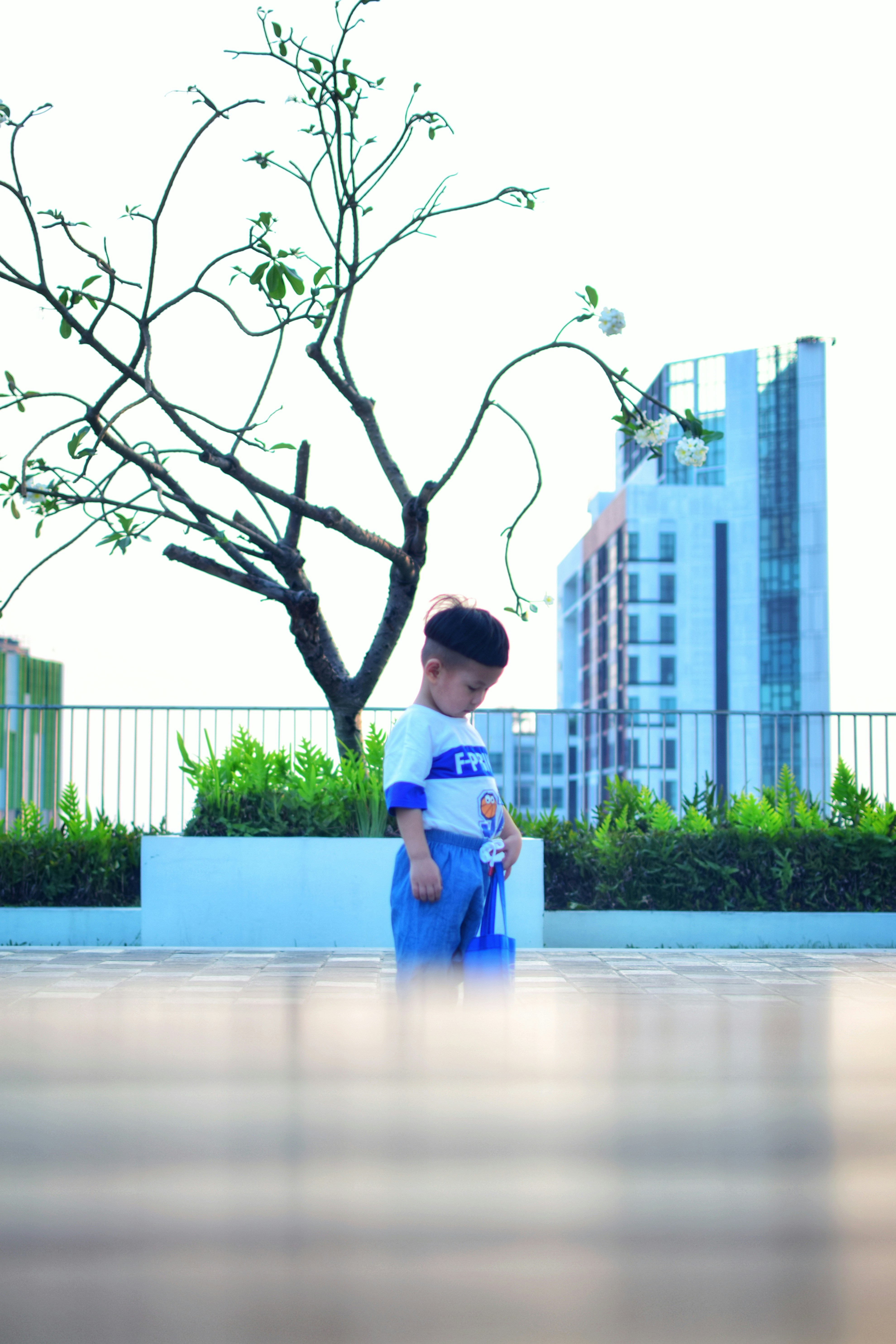 Rooftop Quietude: A Child in White and Blue Under a Bare Tree with a City Skyline