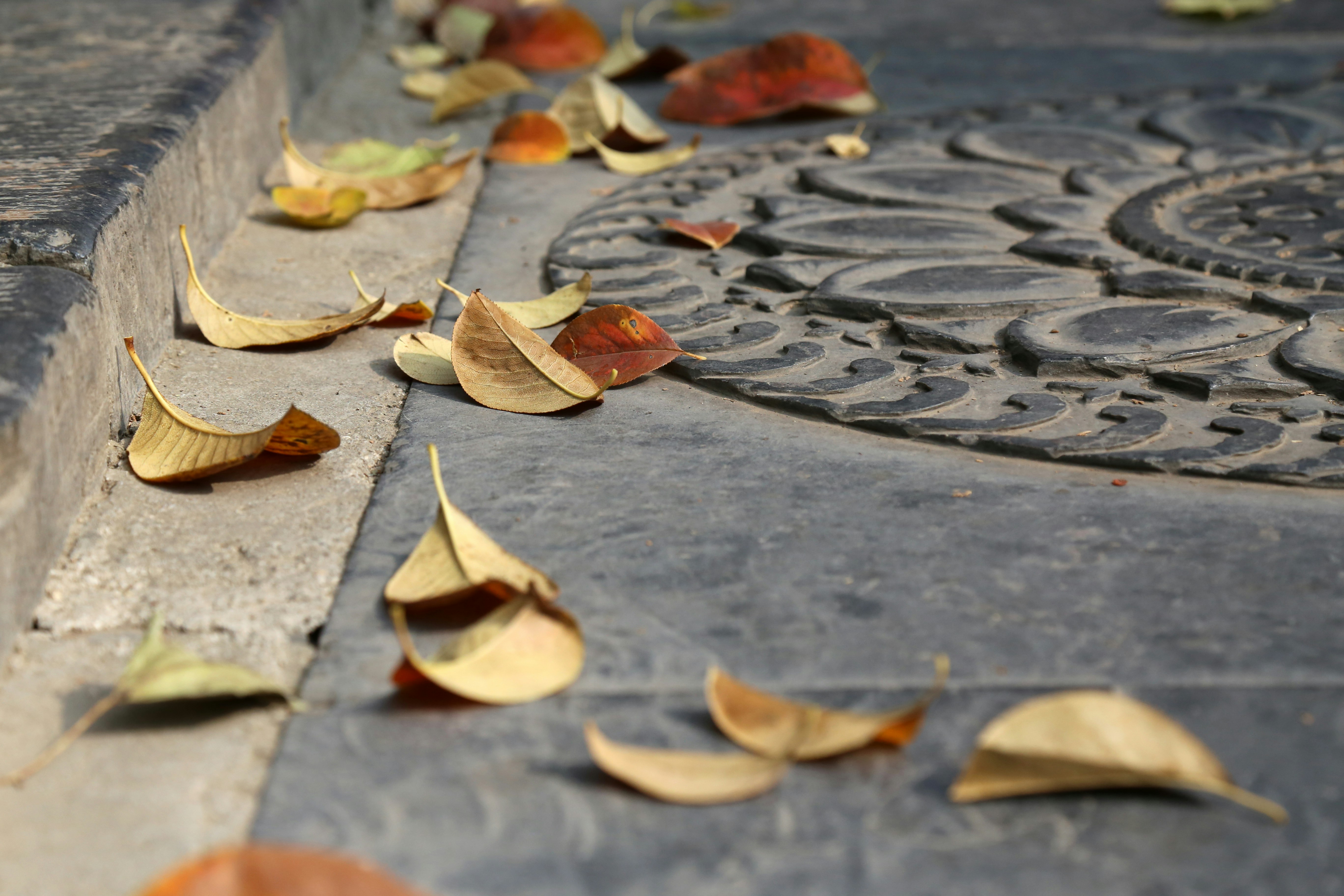 Autumn's Quiet Edge: Leaves Rest Along a Sidewalk by a Decorative Manhole
