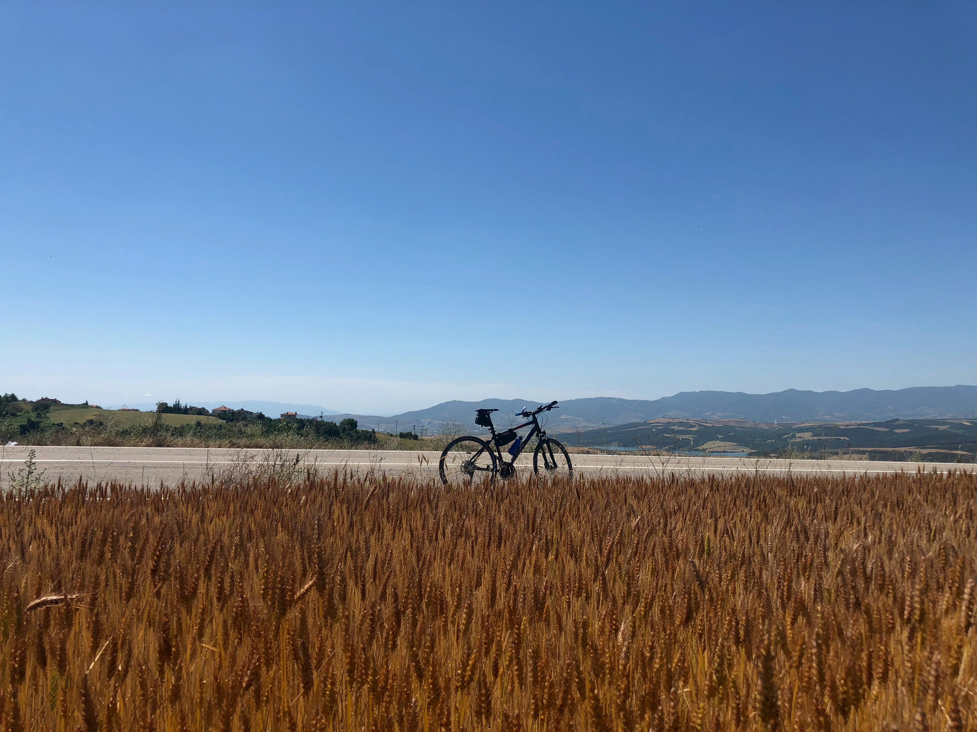 A bicycle stands amidst a field of golden wheat under a clear blue sky with distant mountains.