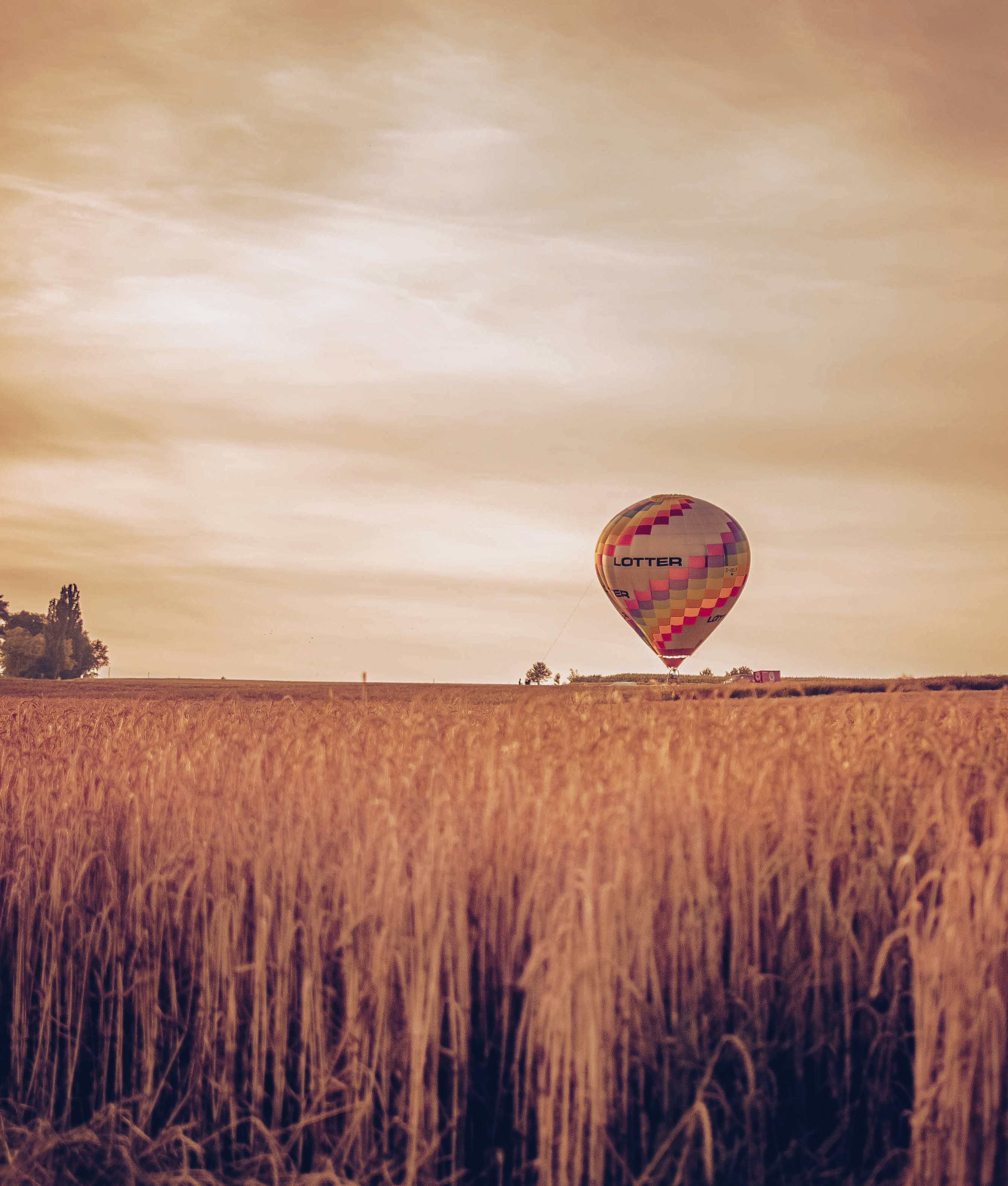 Floating Flame: A Lone Balloon over a Quiet Wheat Field at Dusk