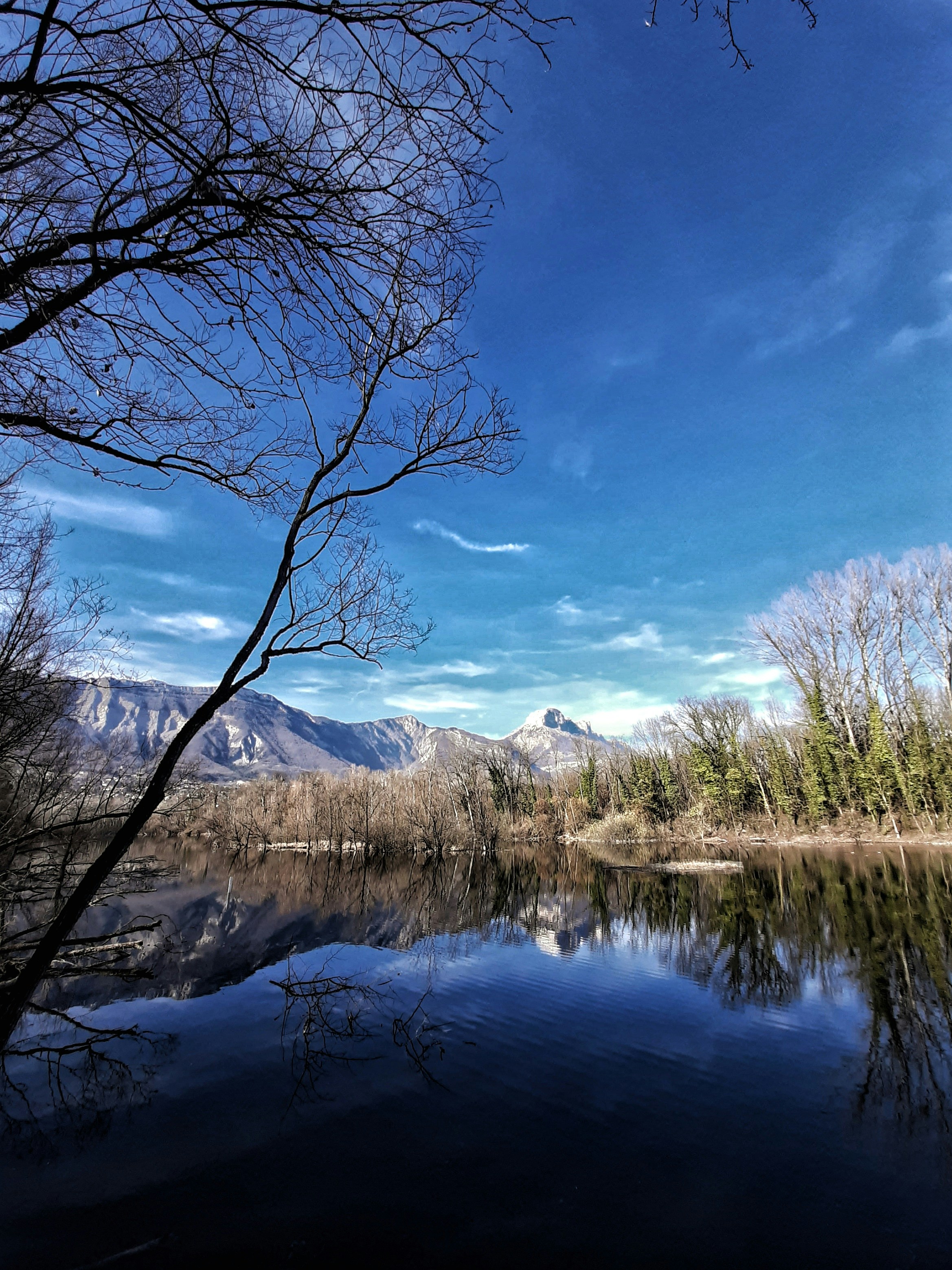 A tranquil landscape featuring a calm lake reflecting bare trees and distant mountains under a clear blue sky.