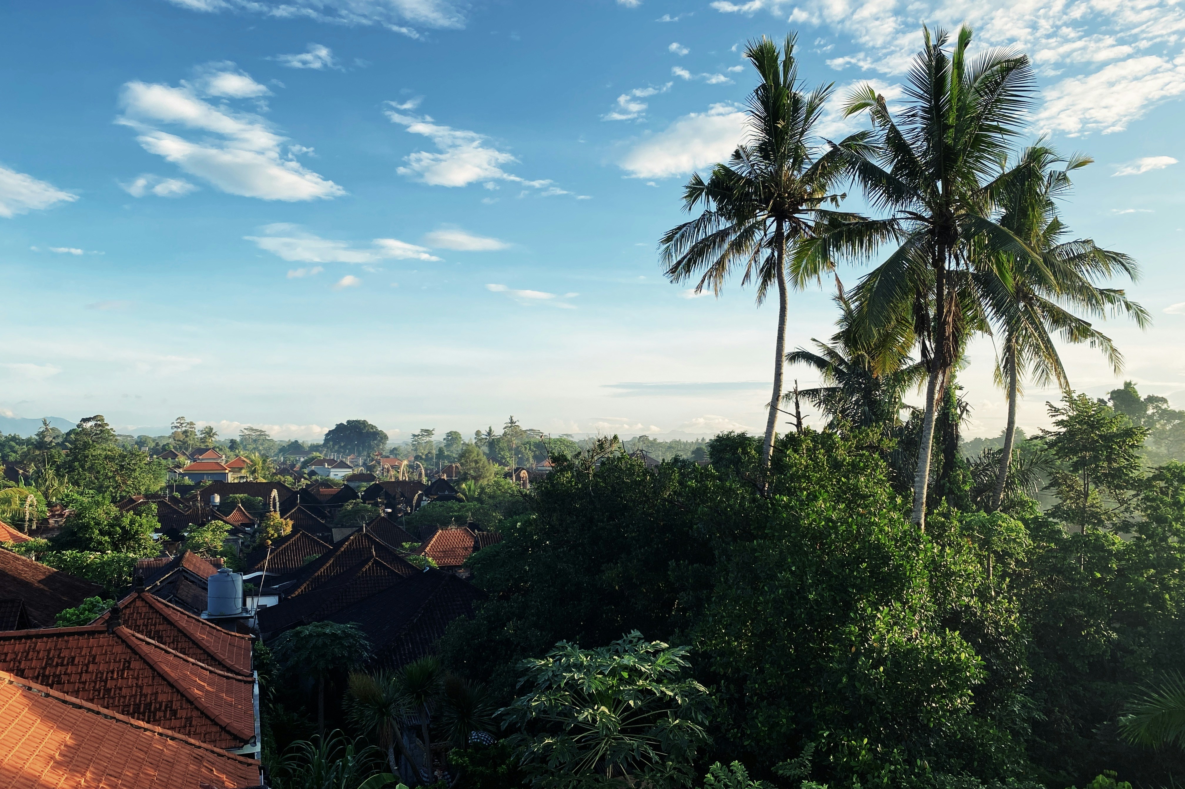 Lush greenery and traditional rooftops blend seamlessly under a clear blue sky, showcasing the tranquil beauty of a Balinese morning.