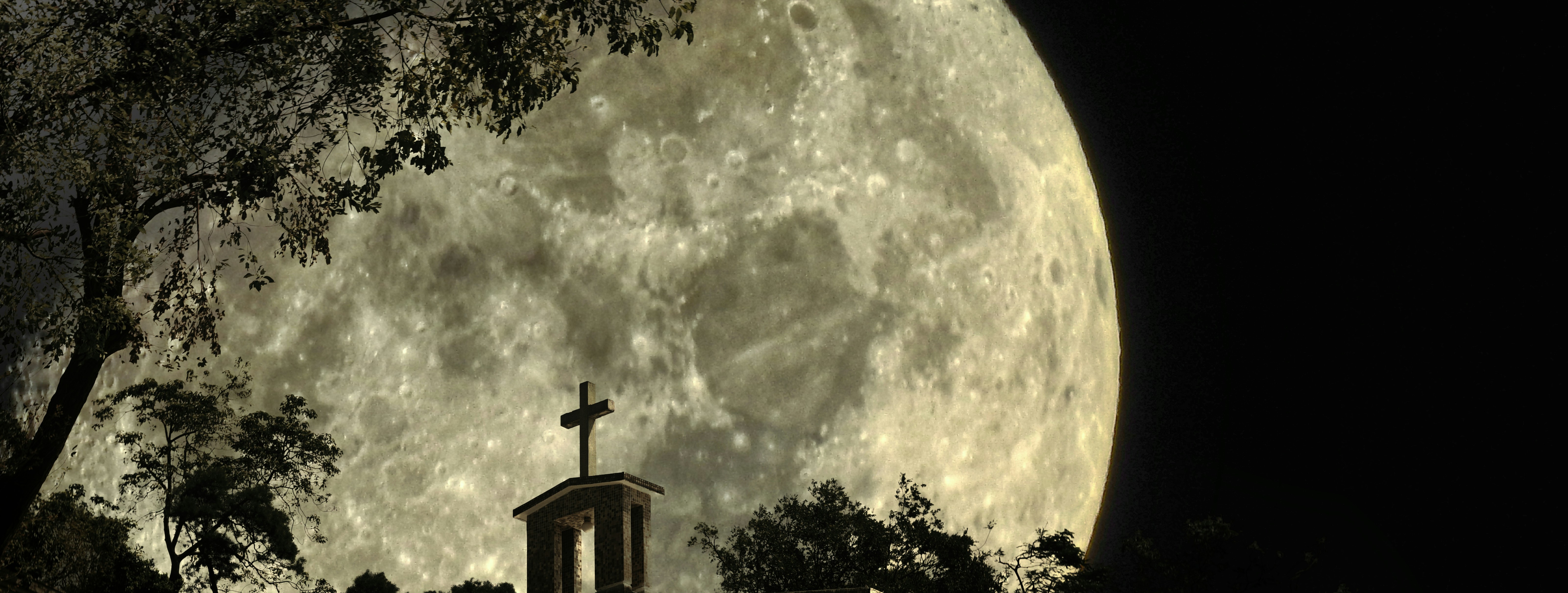 silhouette of cross on top of a tree