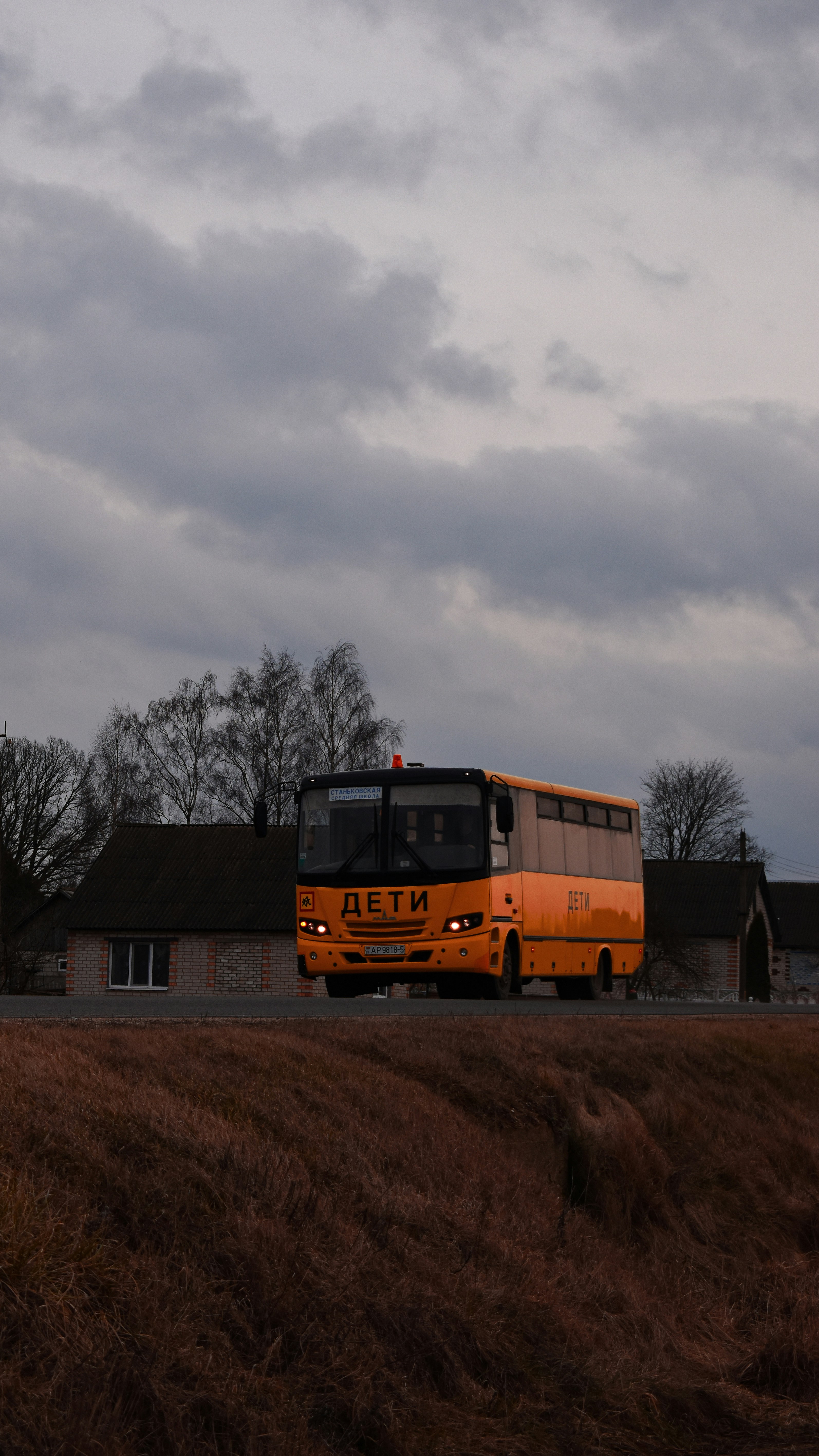 Yellow Bus on a Quiet Rural Road Beneath Overcast Skies