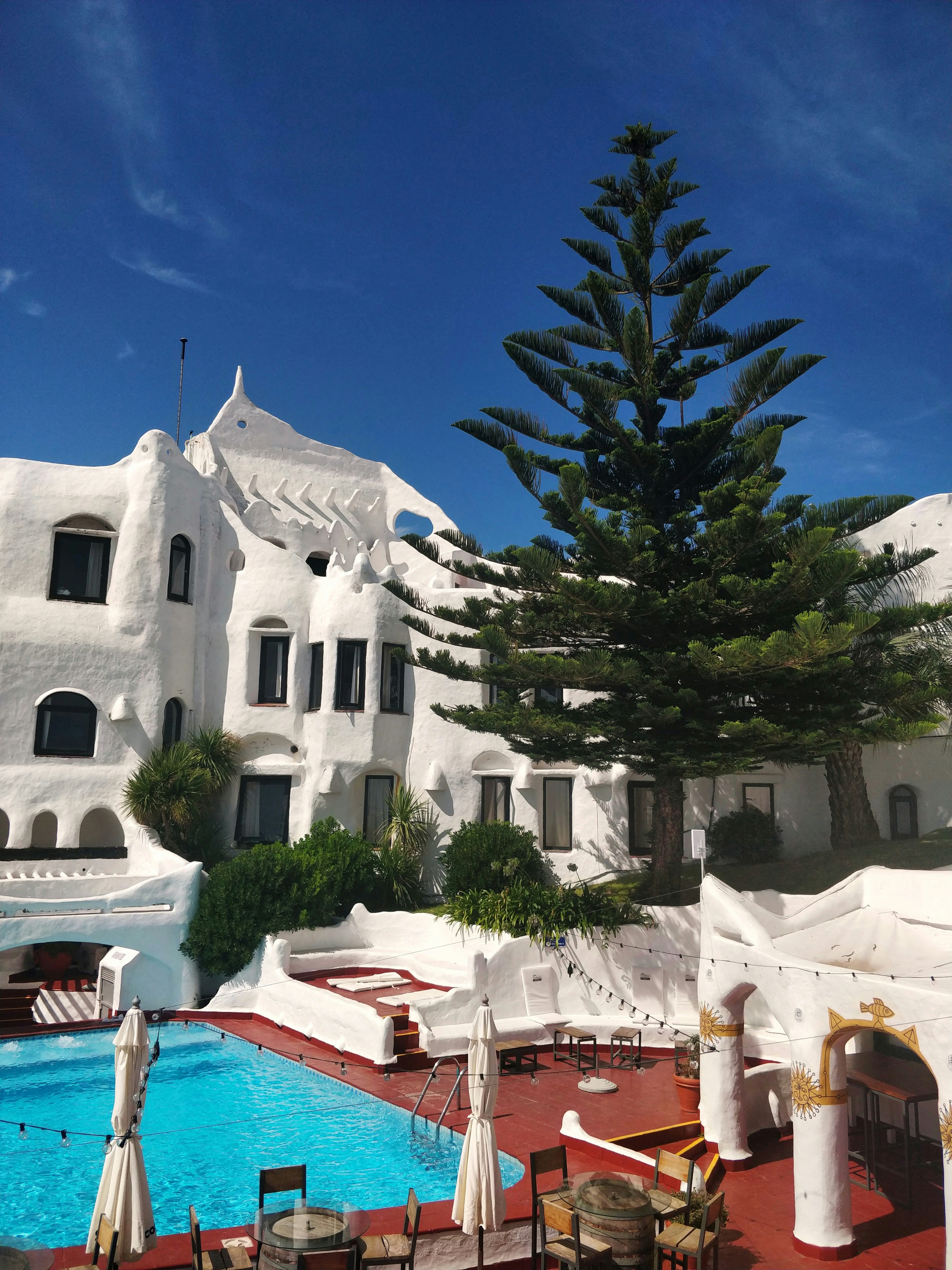 Green tree near white concrete building during daytime photo – Free ...