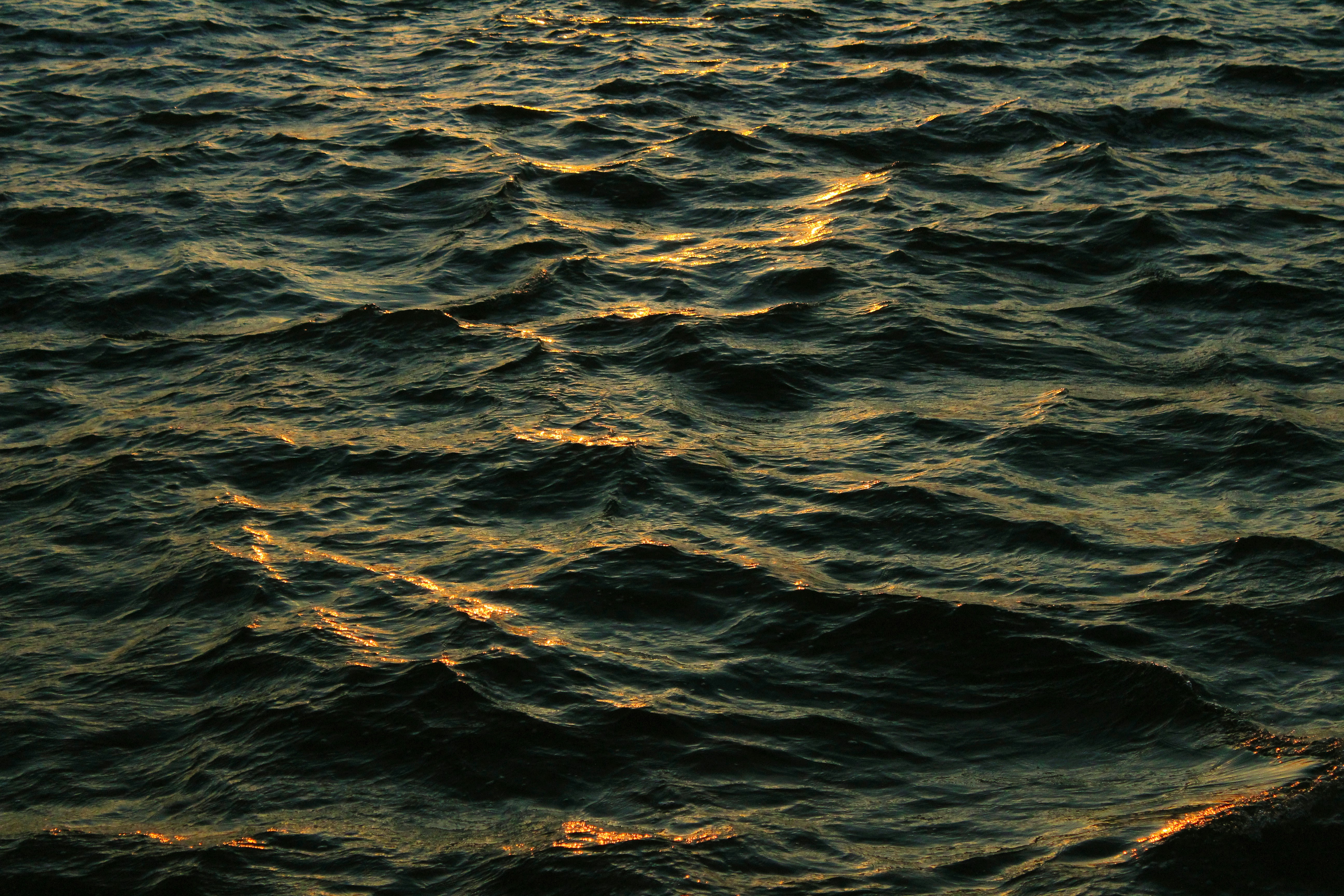 Gentle waves shimmer under soft light, creating a mesmerizing pattern on the water's surface.