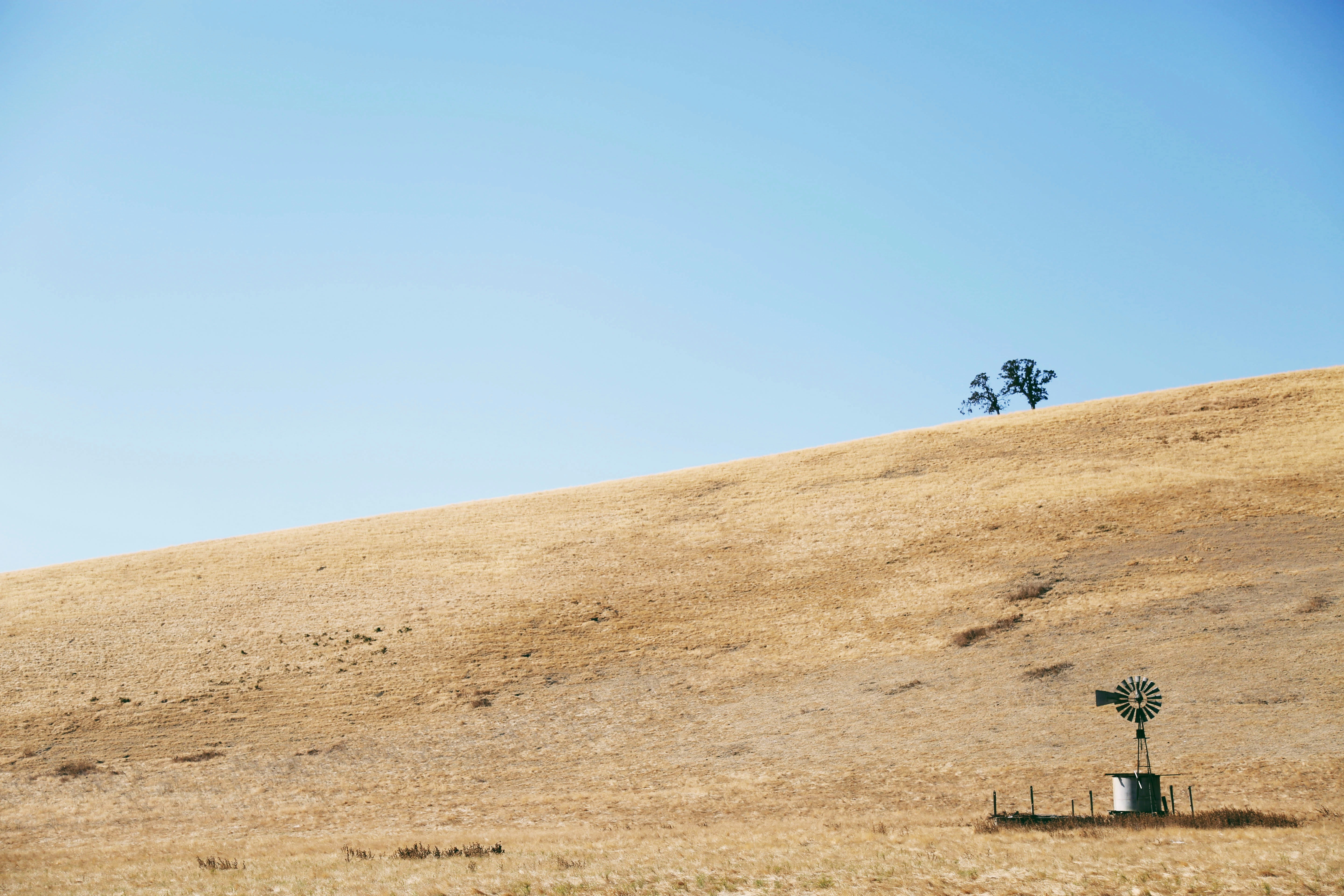 Person in a black jacket standing on a sunlit, grassy slope beneath a clear blue sky.