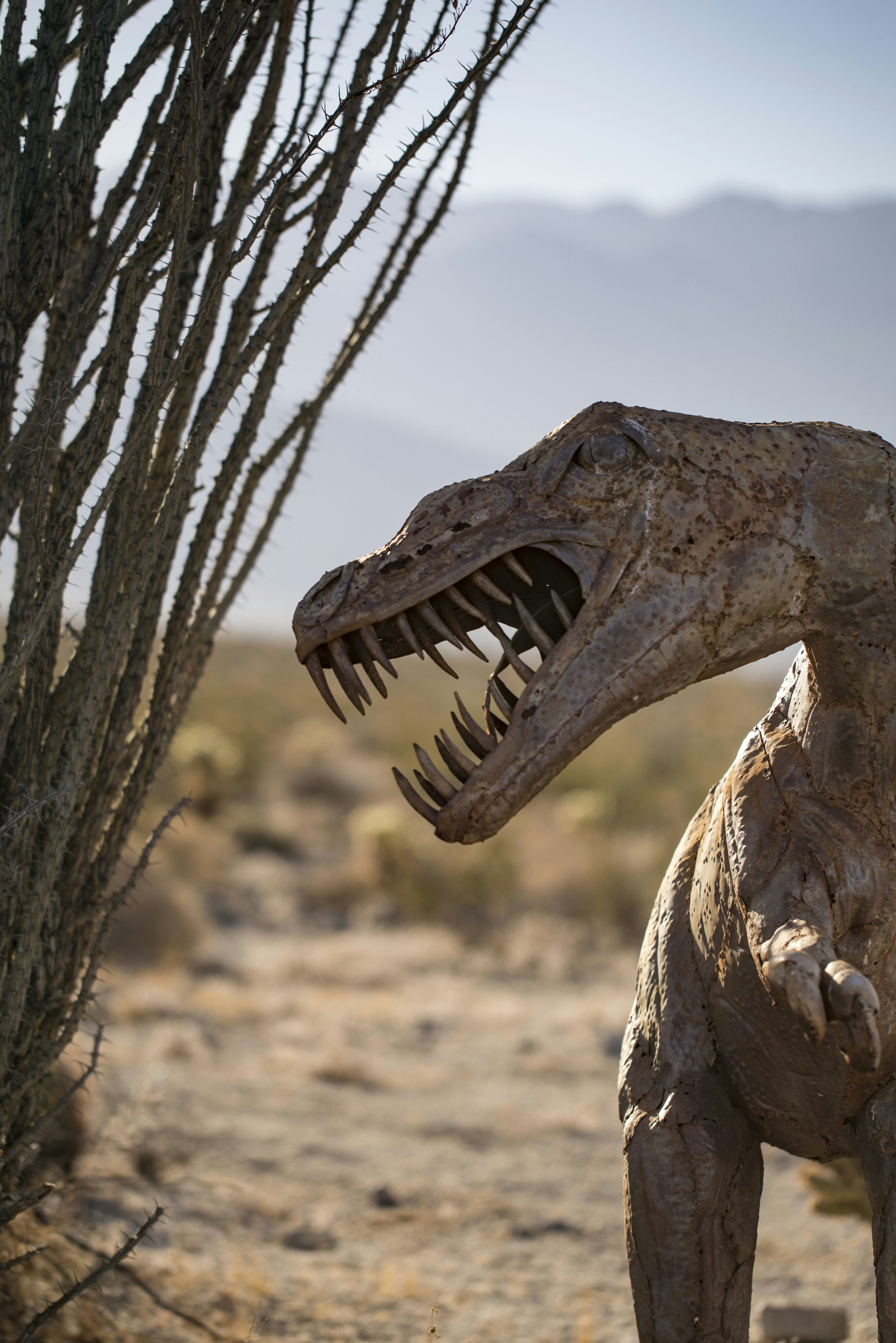Prehistoric Gaze: Tyrant of the Desert Scrub