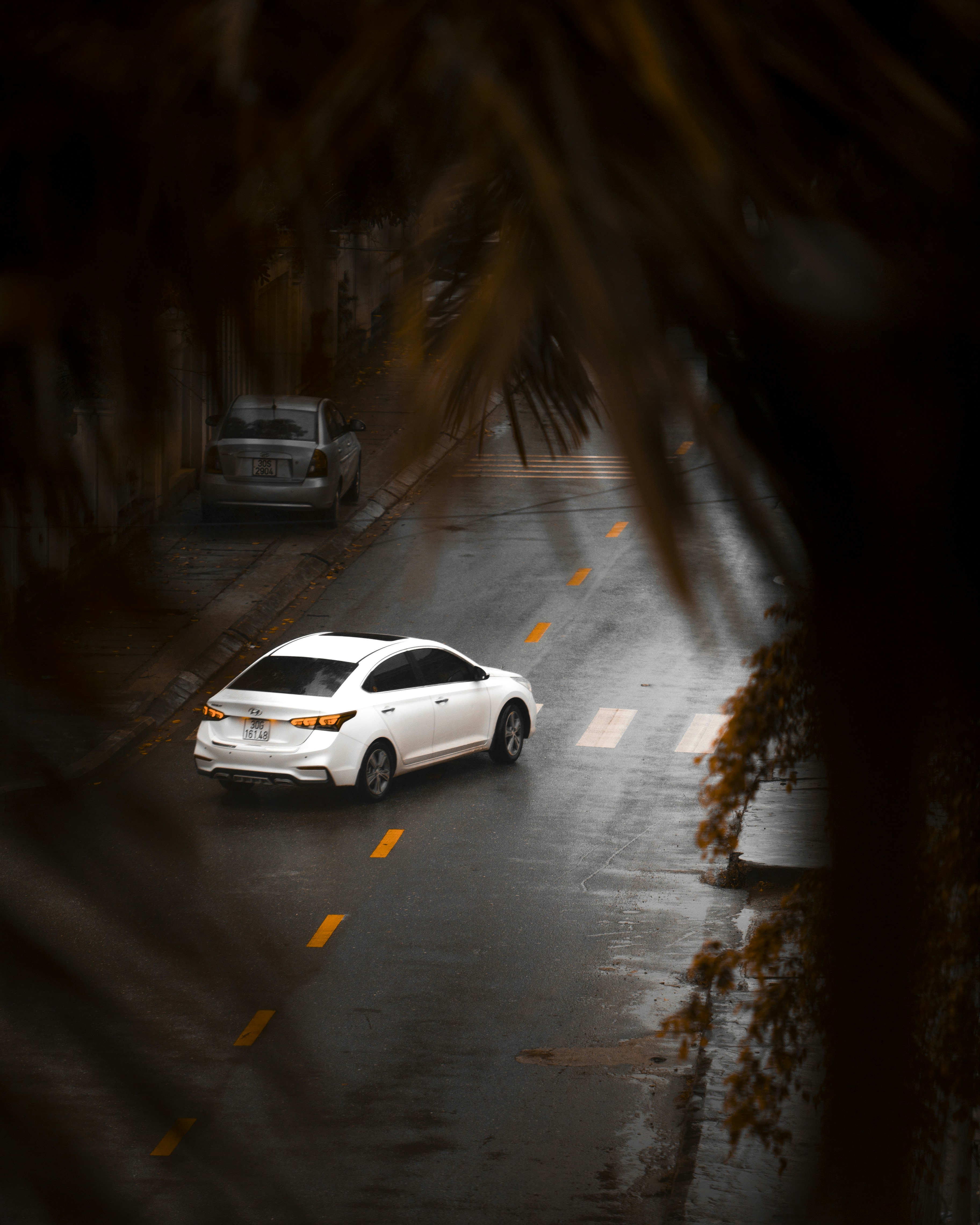 White sedan negotiating a rainy street framed by dark foliage