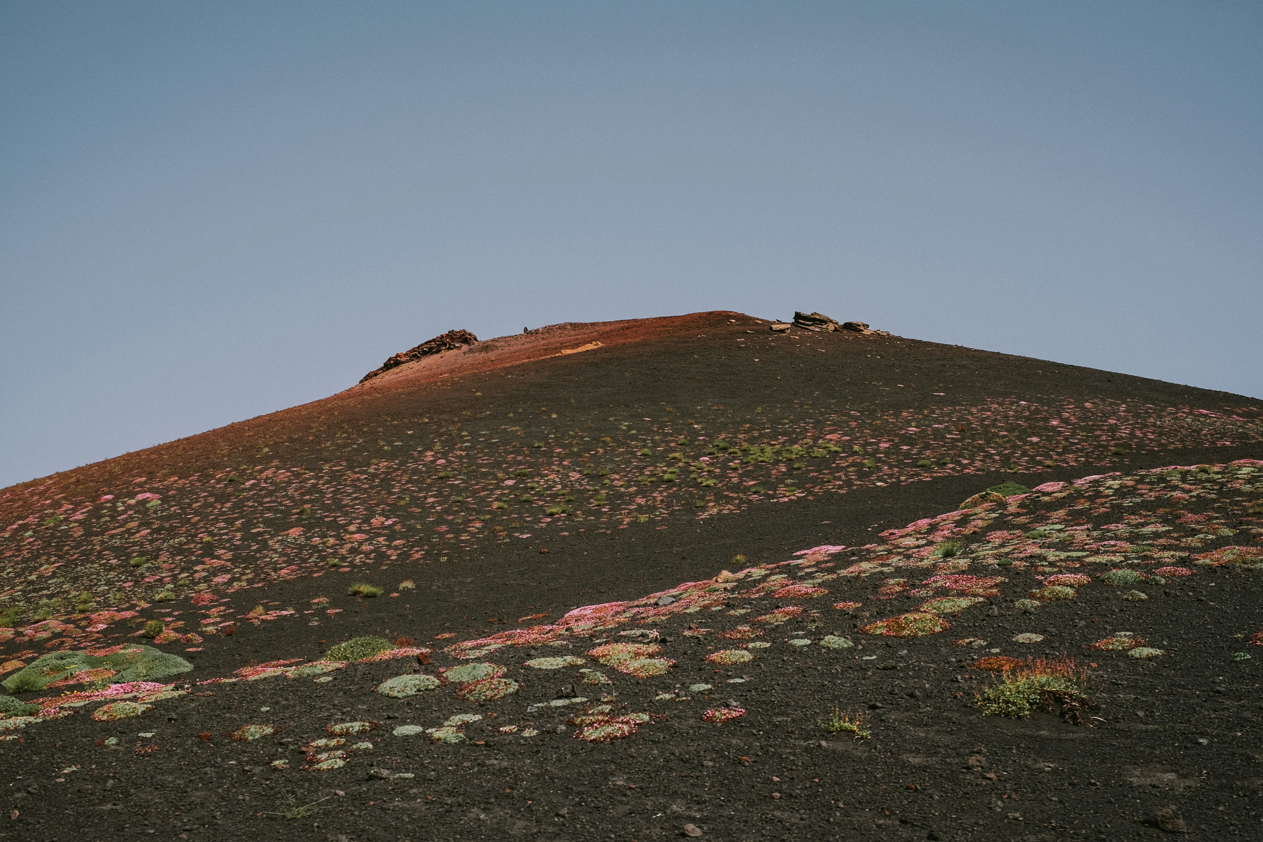 Volcanic terrain of Mount Etna under a clear blue sky, featuring colorful mineral deposits.