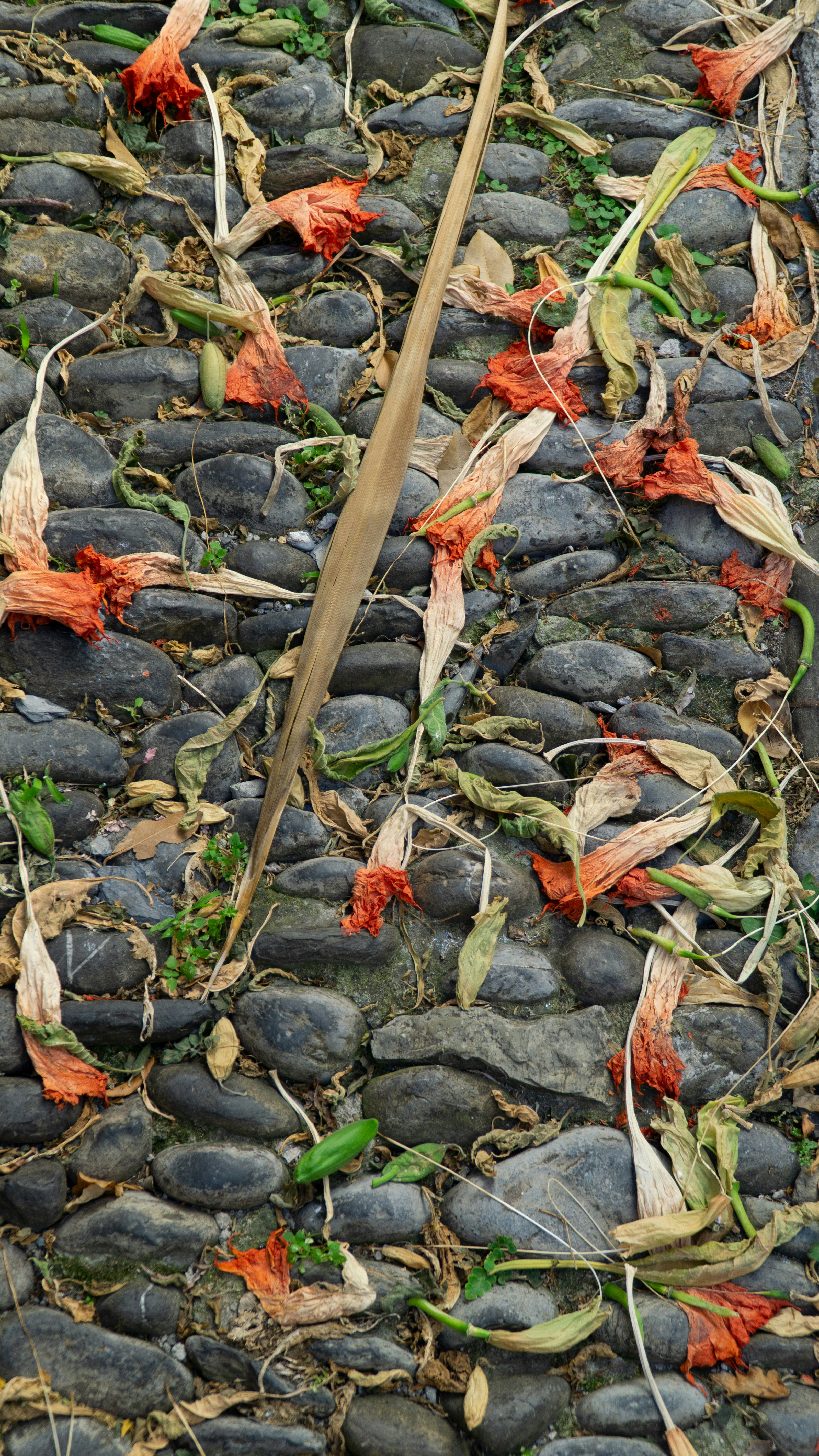 Colorful fallen petals and dried leaves scattered across a textured stone path, showcasing nature's artistry.