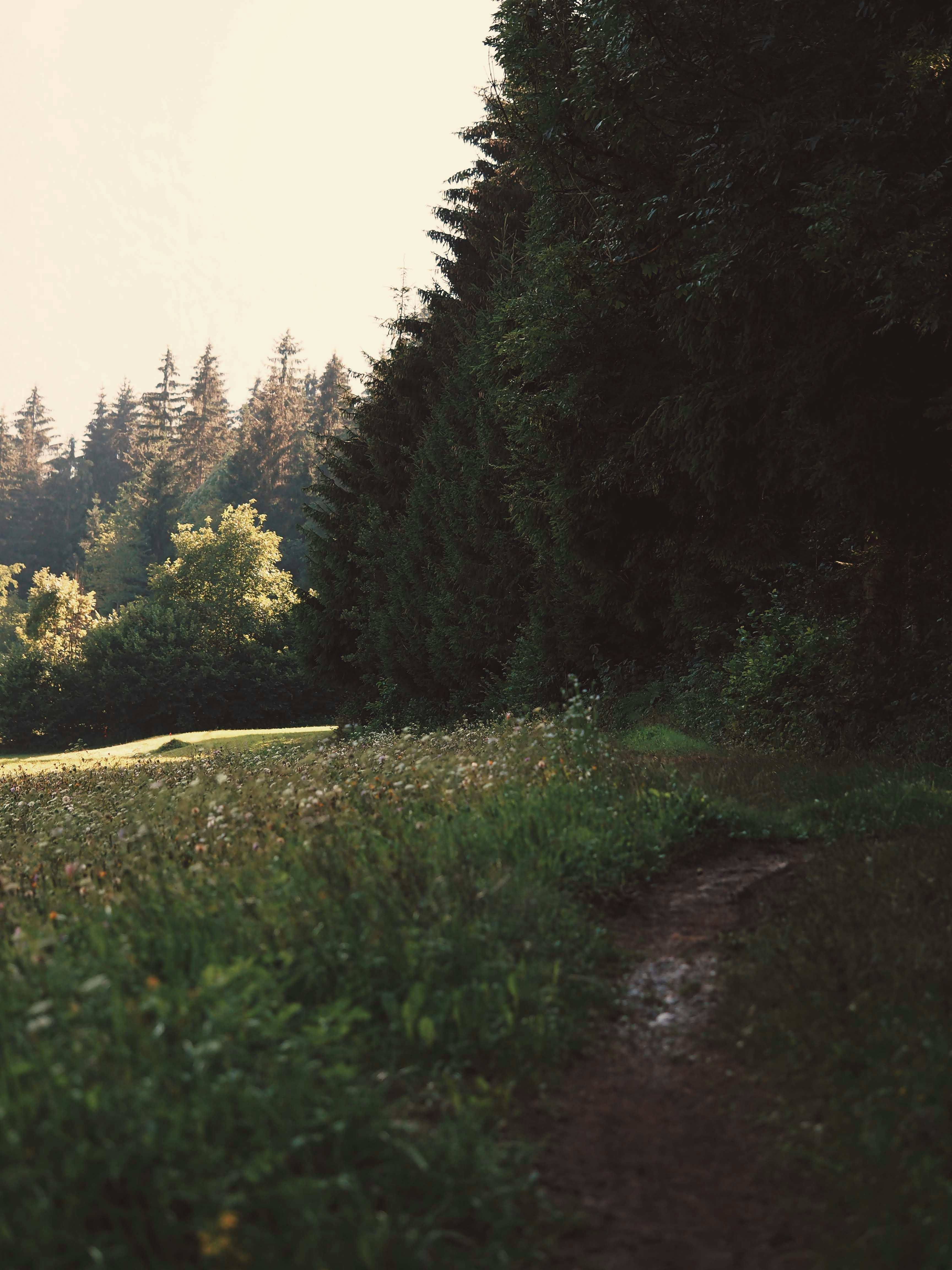 Wander Pictures | Download Free Images on Unsplash