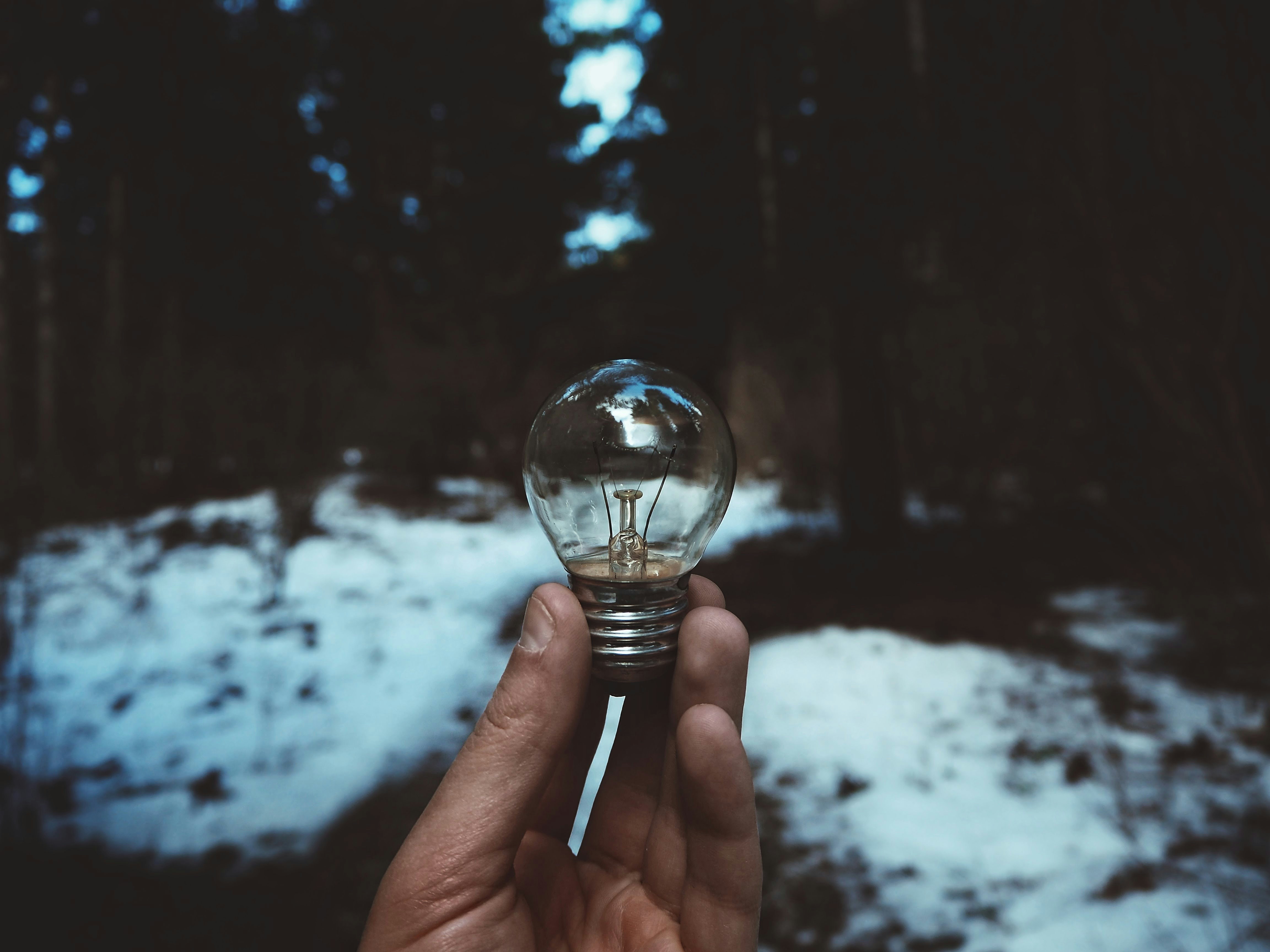 Hand holding a light bulb against a backdrop of snow and dark forest, symbolizing the interplay of light and nature.