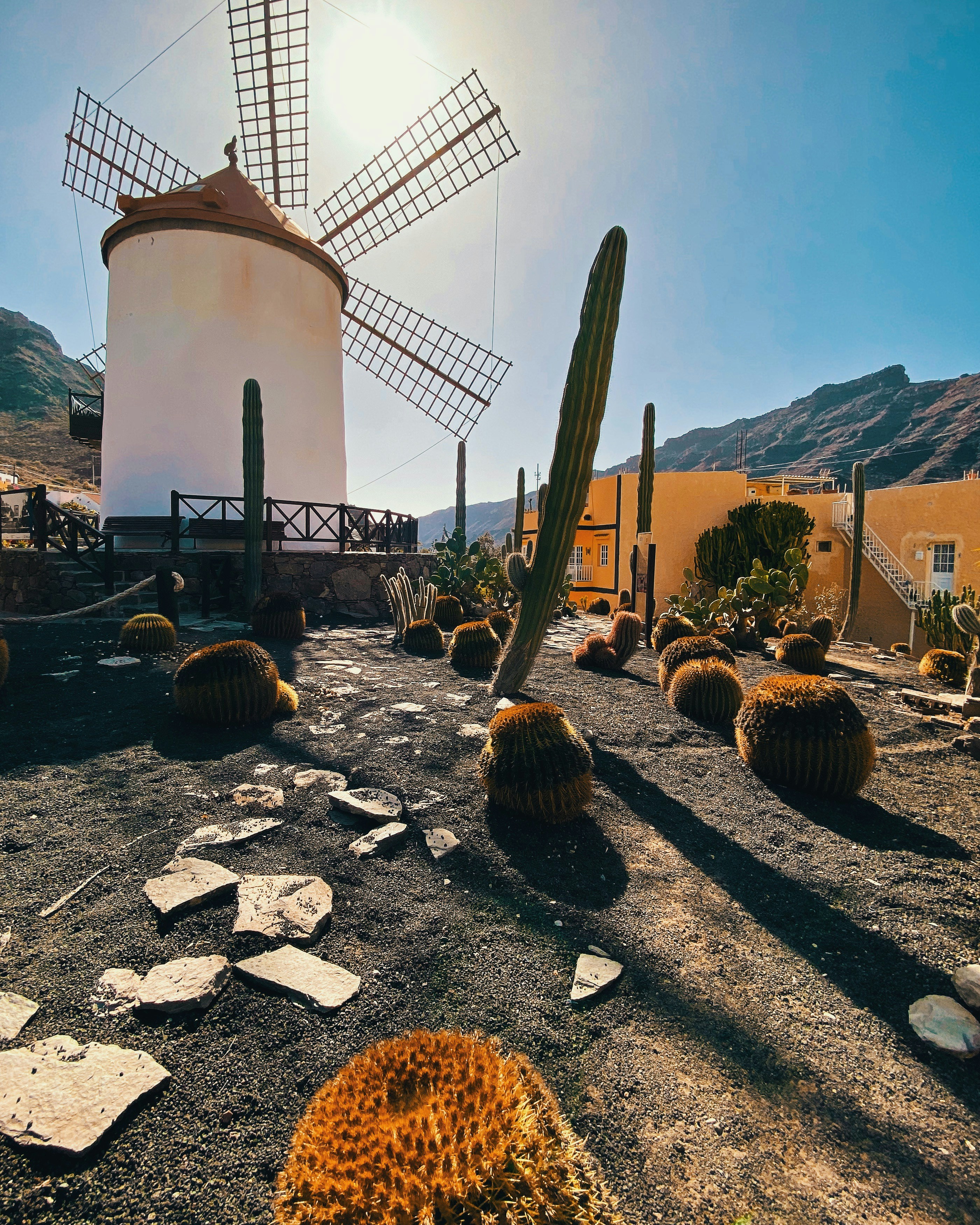 Desert Windmill and Cacti under a Bright Blue Sky