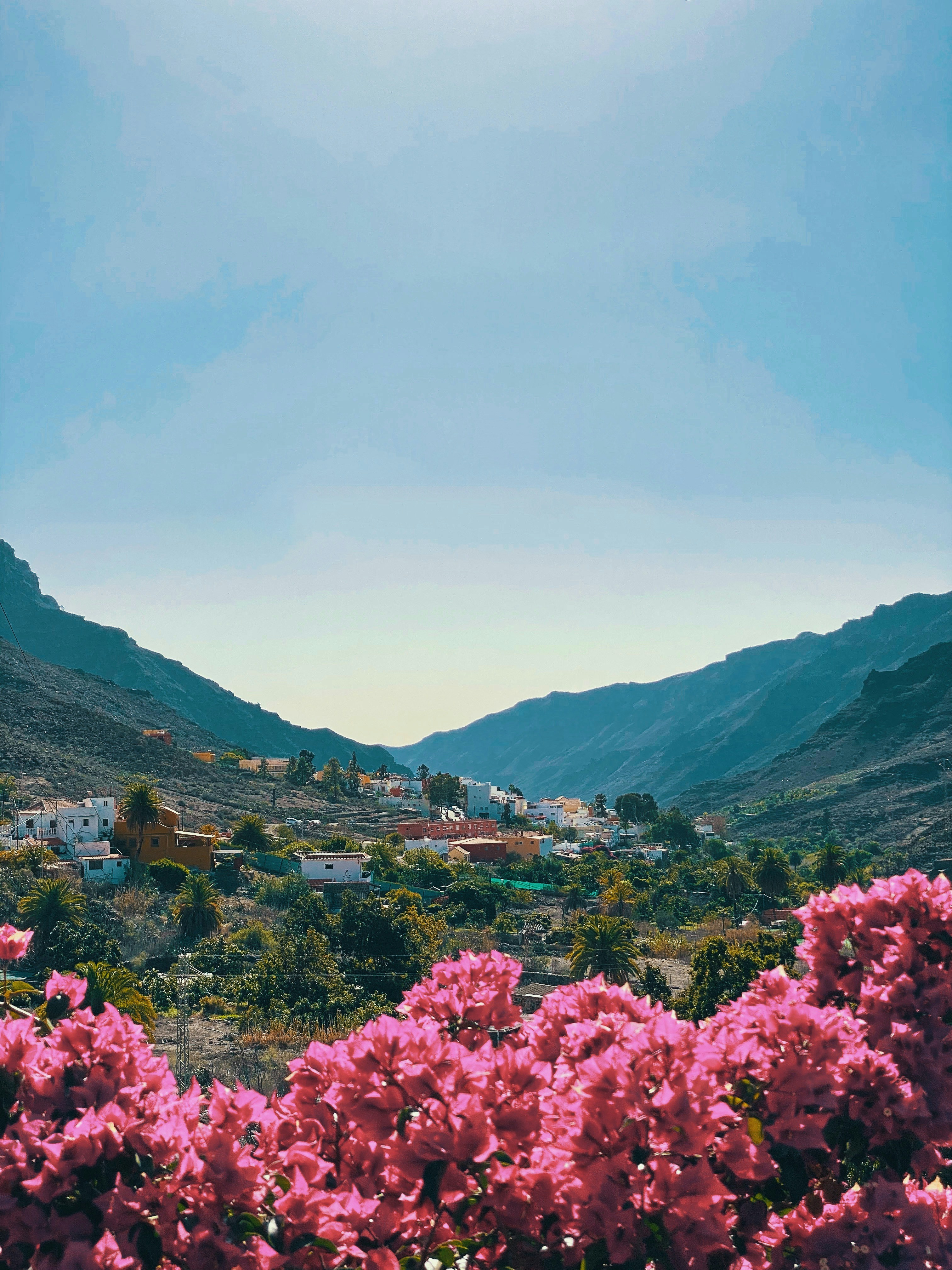 Valley of Petals: a pink-framed village beneath azure peaks