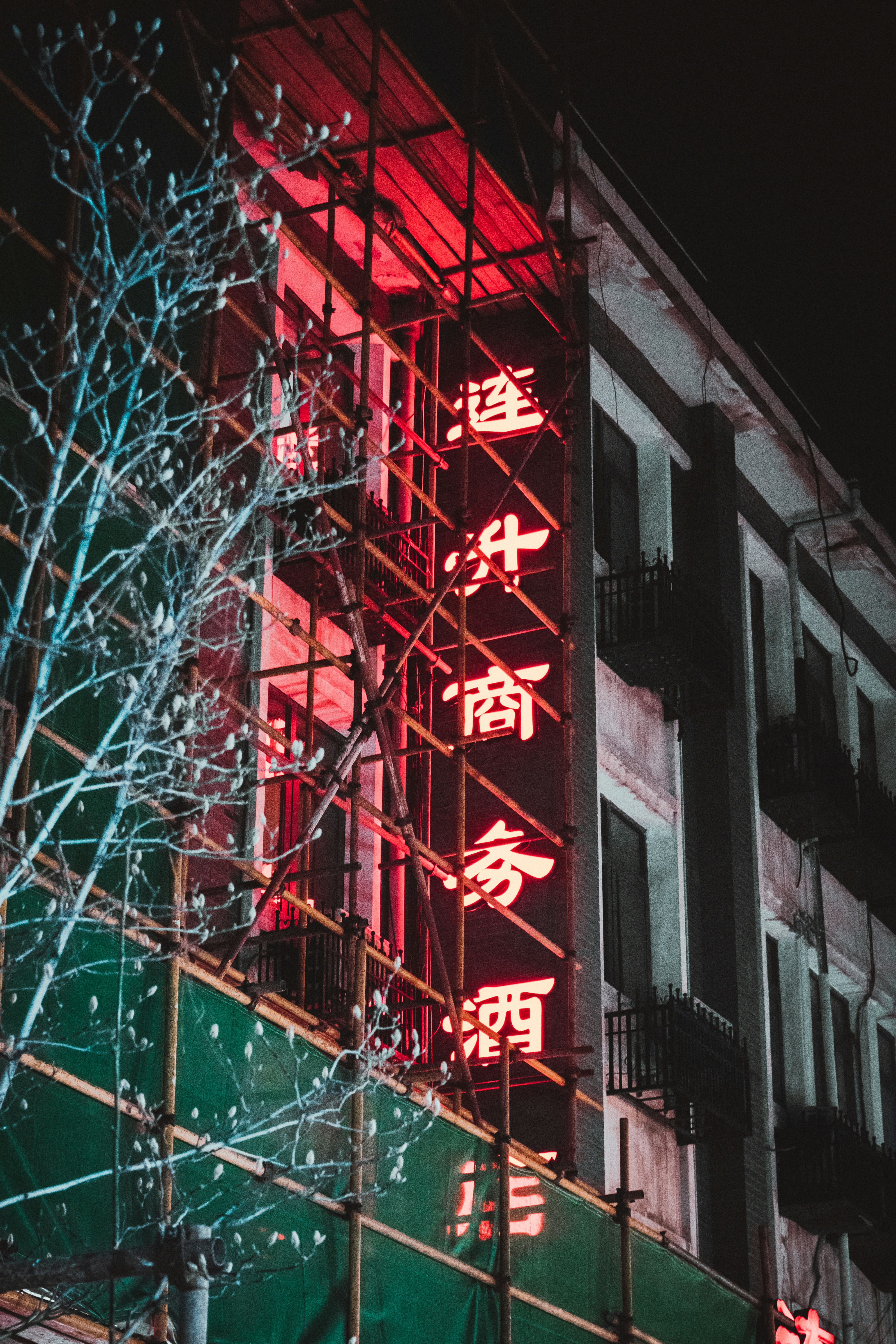 Illuminated red characters on a building under renovation, framed by scaffolding and a bare tree, evoke a vibrant yet gritty urban atmosphere.