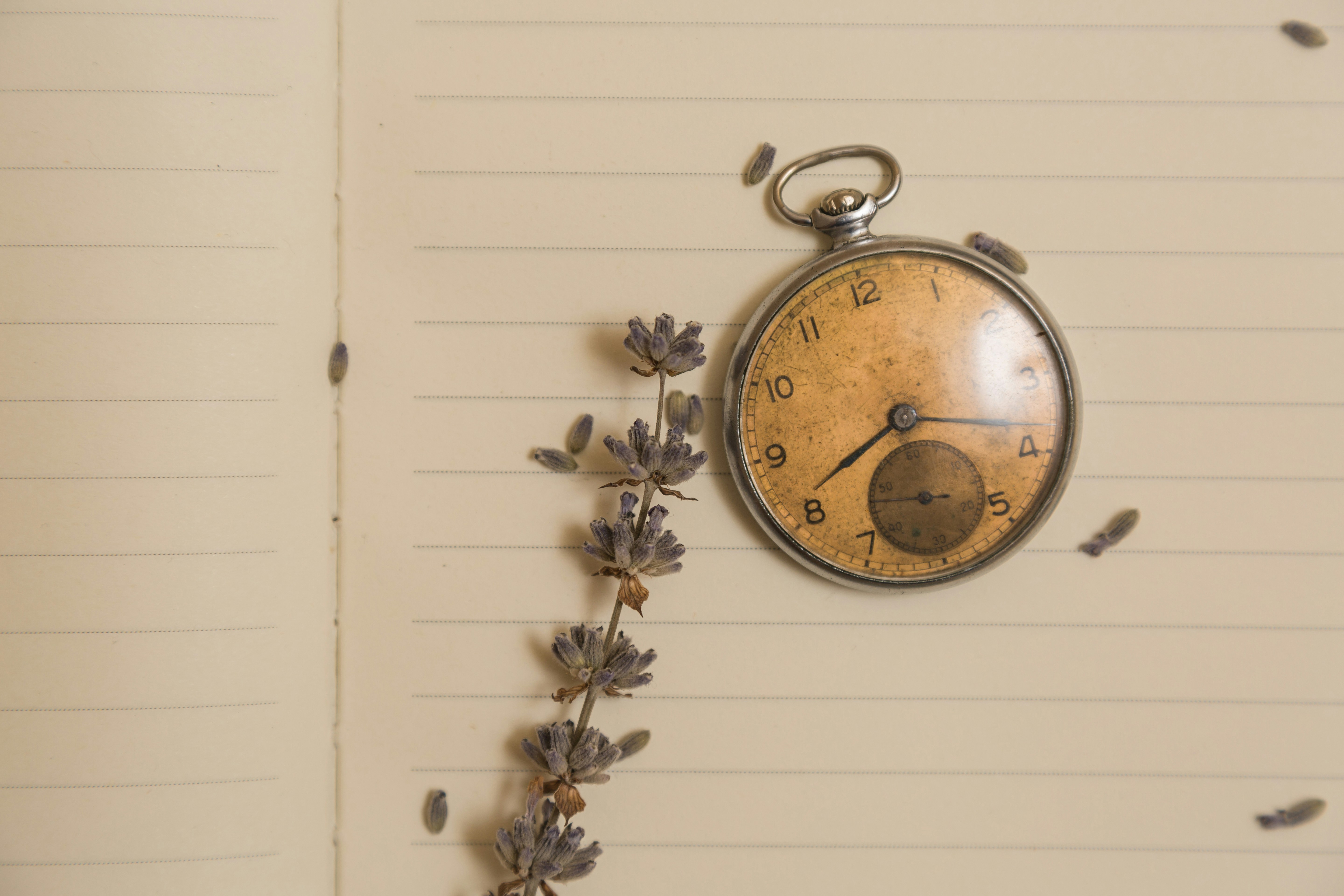 Vintage Stopwatch and Lavender: Time Stopped on a Quiet Page