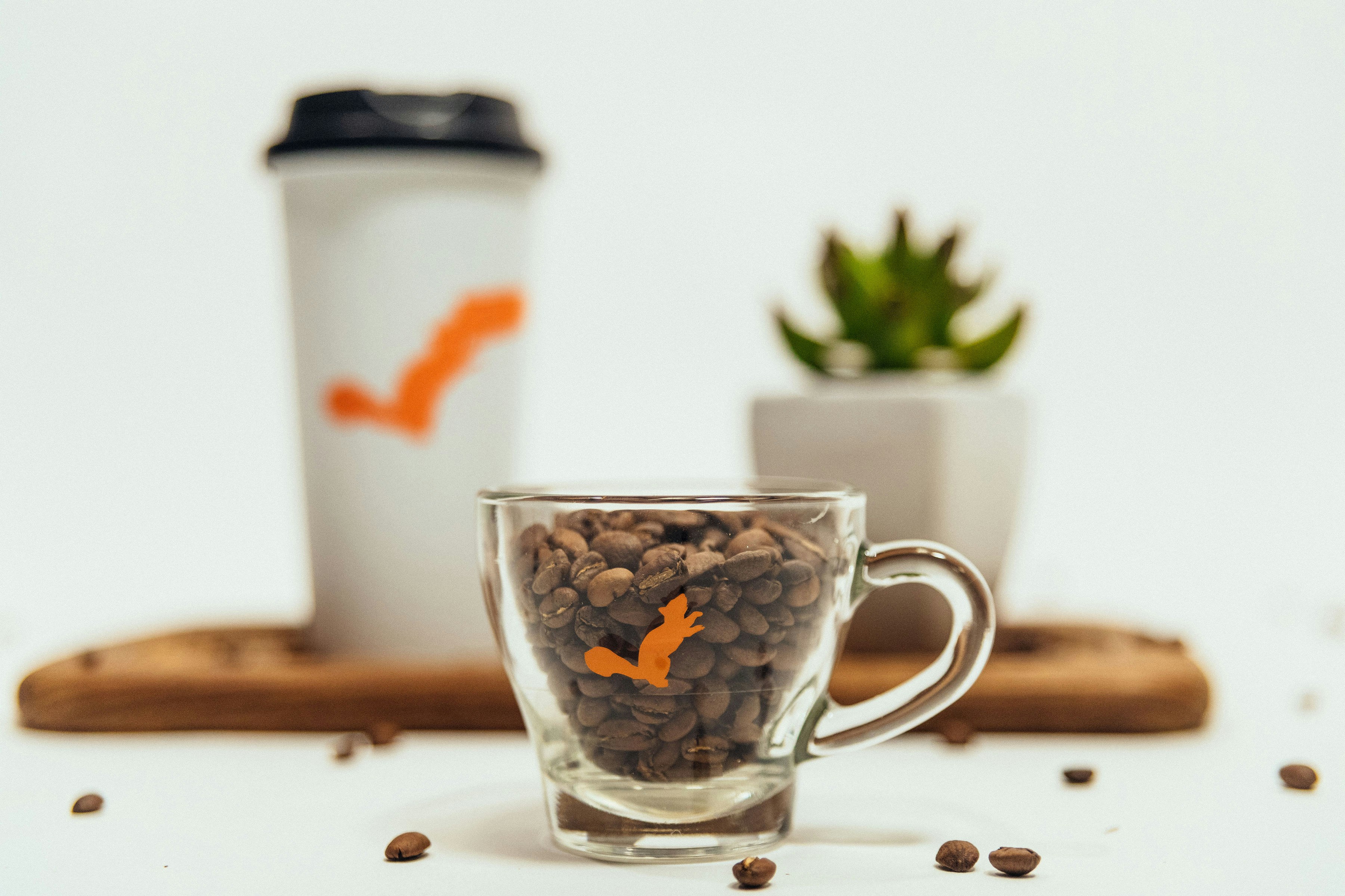 Steam and Beans: A Quiet Brew Scene with a Minimalist Café Aesthetic