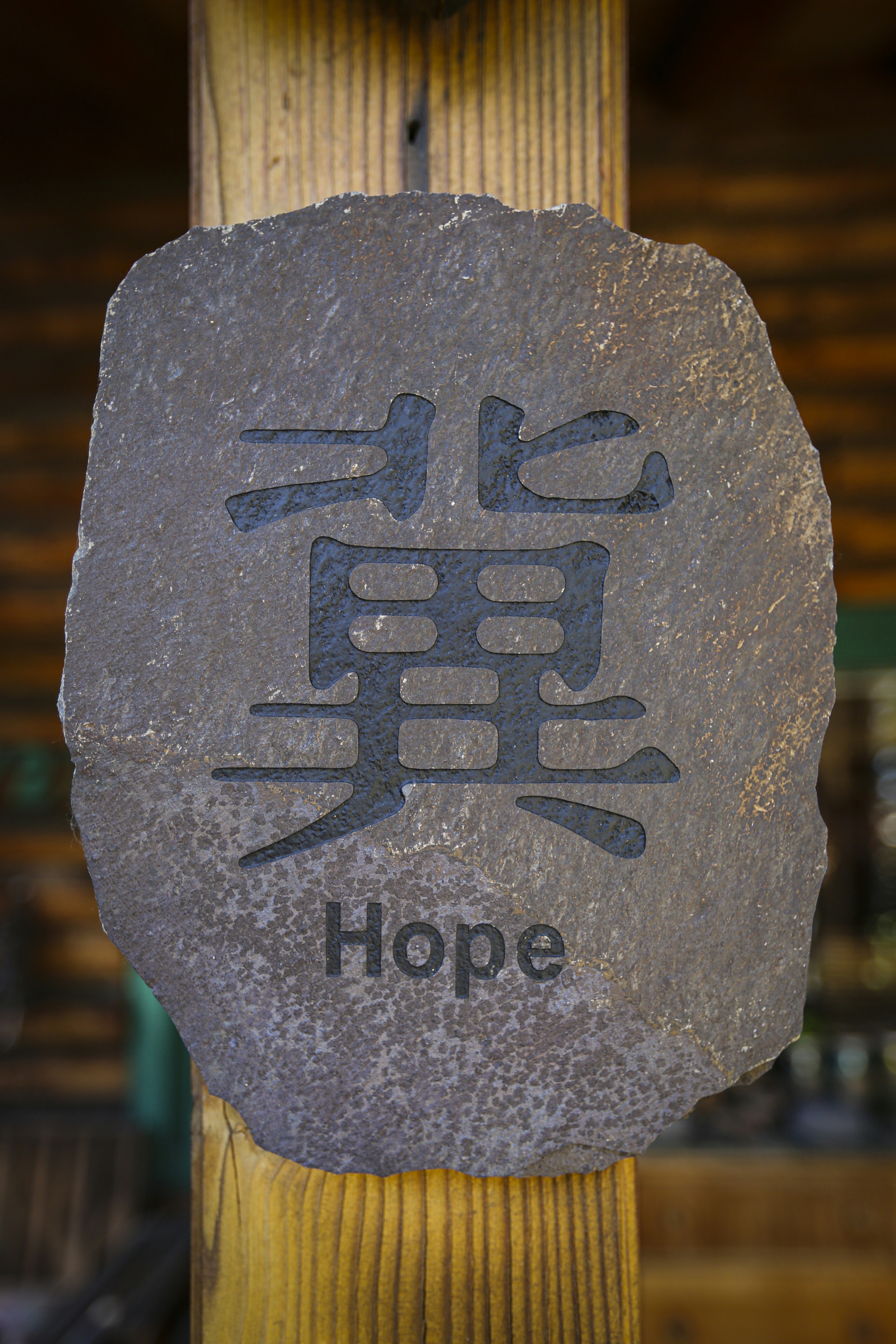 Plage Des Rois Photos | Télécharger des images gratuites sur Unsplash