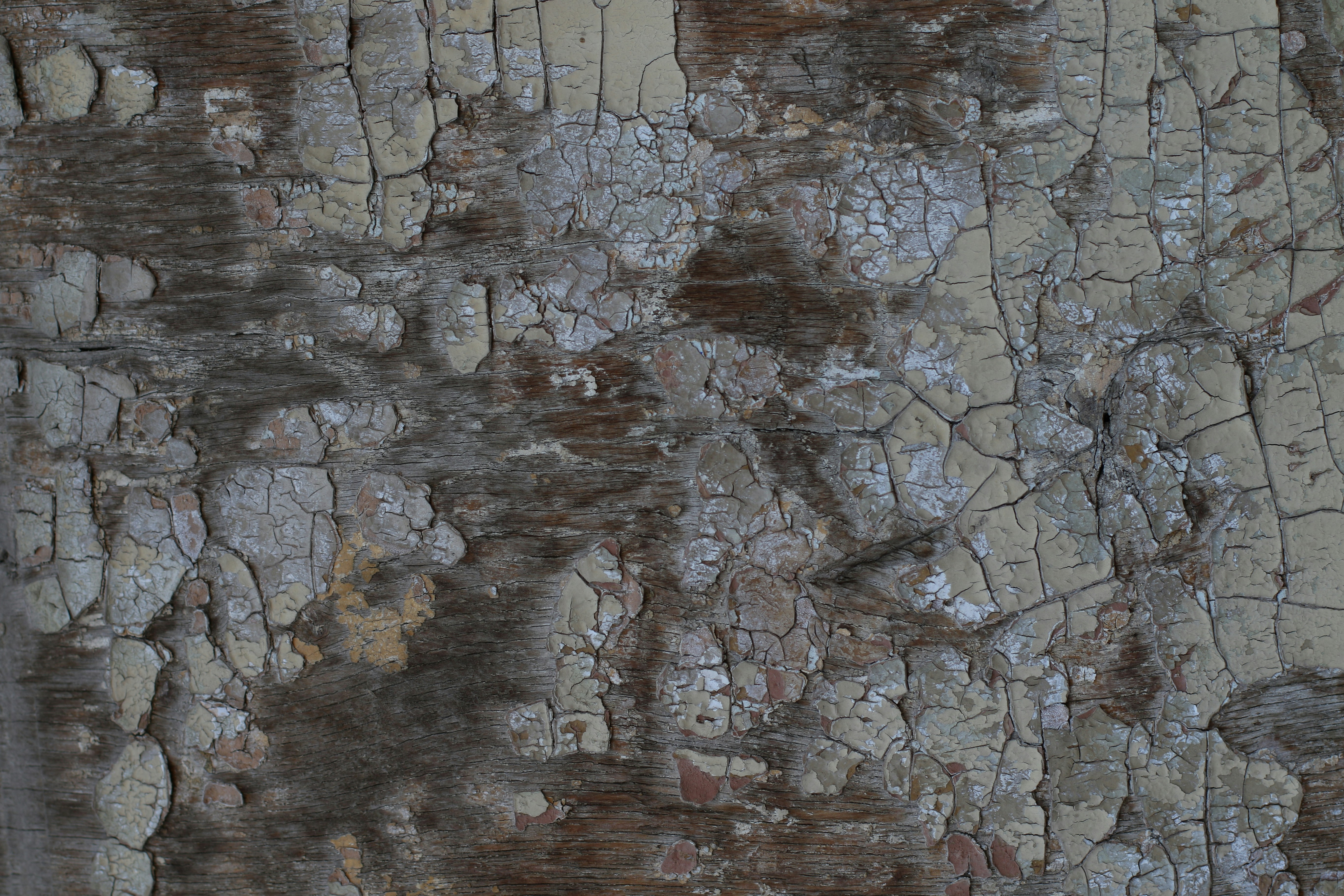 Textured surface of aged wood with peeling paint, revealing layers of history and wear. Ideal for backgrounds or artistic projects.