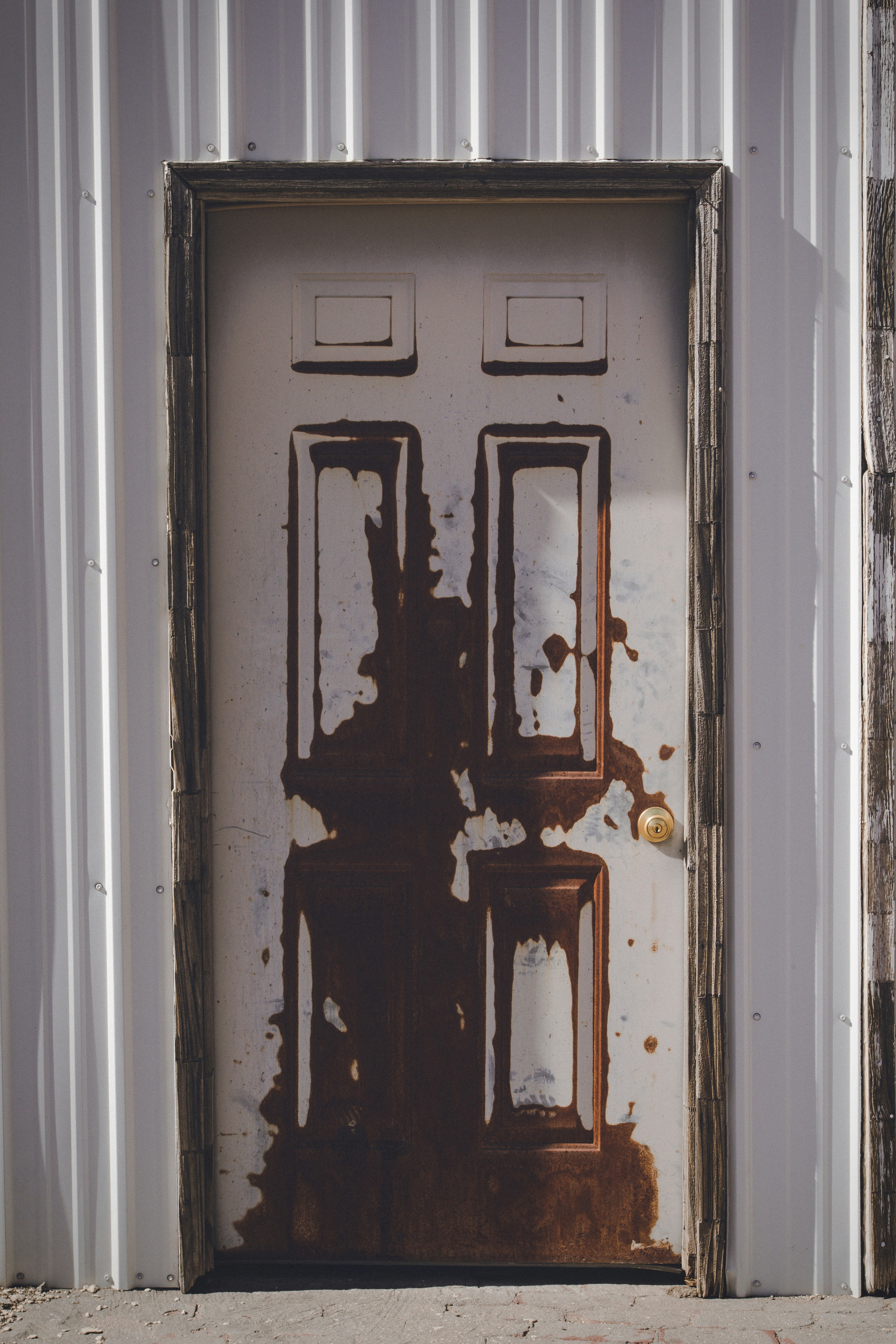 Photo by Kael Bloom with Canon EOS 5D Mark IV