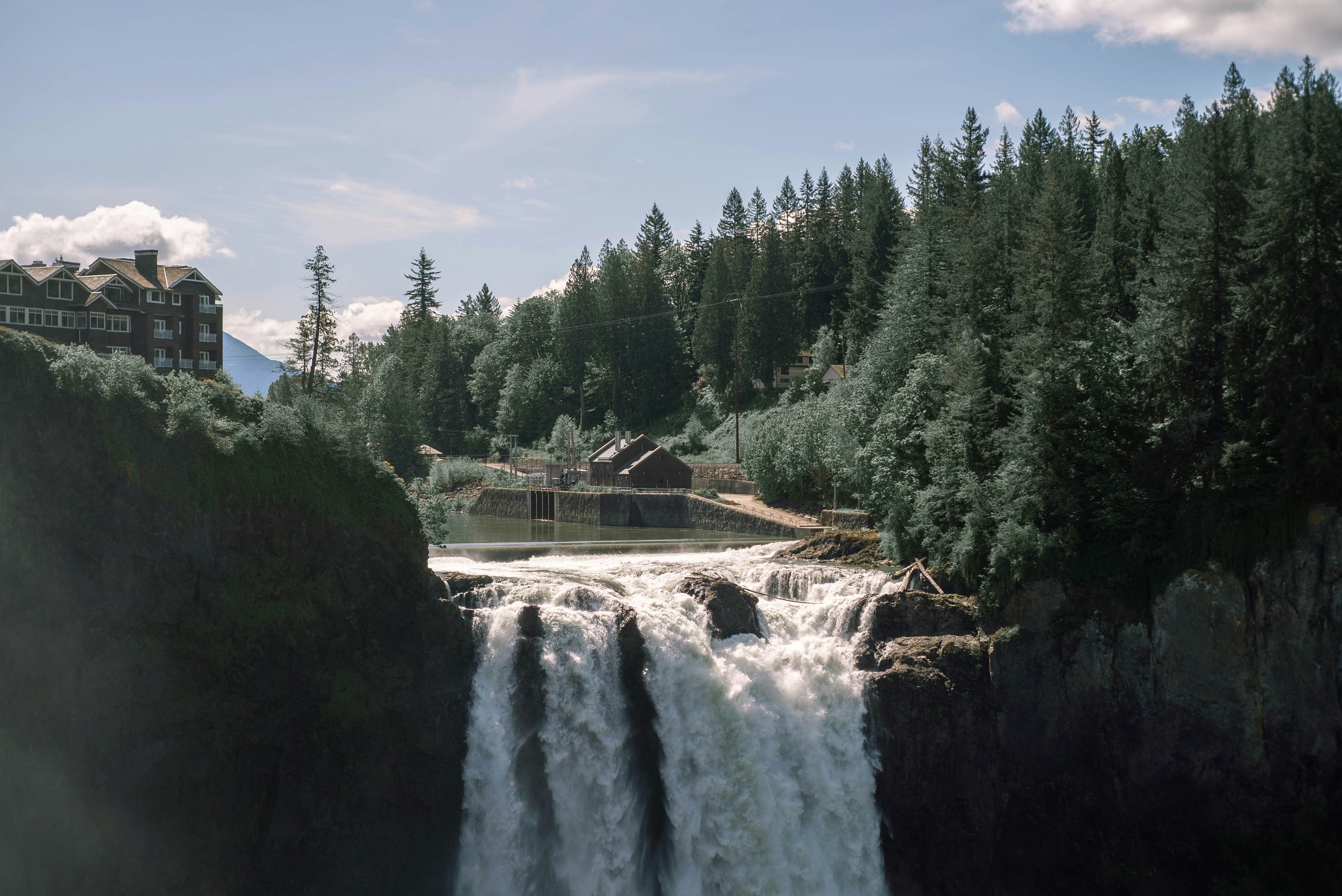 Why Do at Least Half of All Adult Coho Salmon Returning to Urban ...